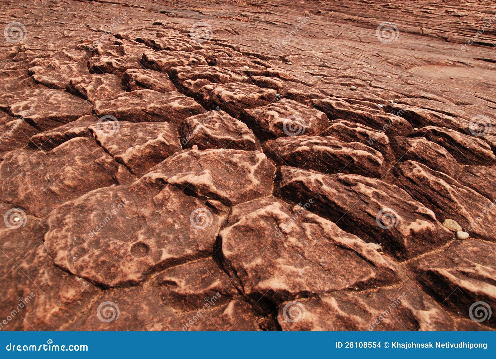 Crack in the Ground stock photo. Image of desert, extreme - 28108554