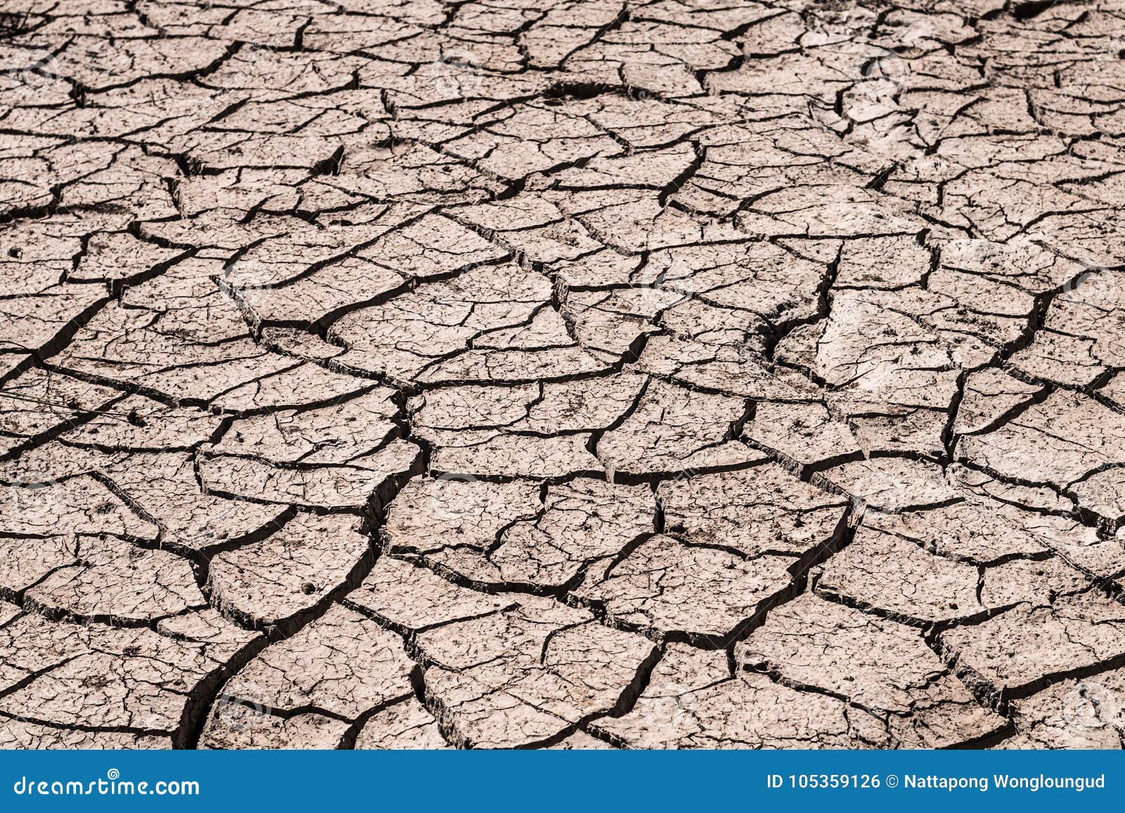 Drought Background Stock Photo | CartoonDealer.com #70160706