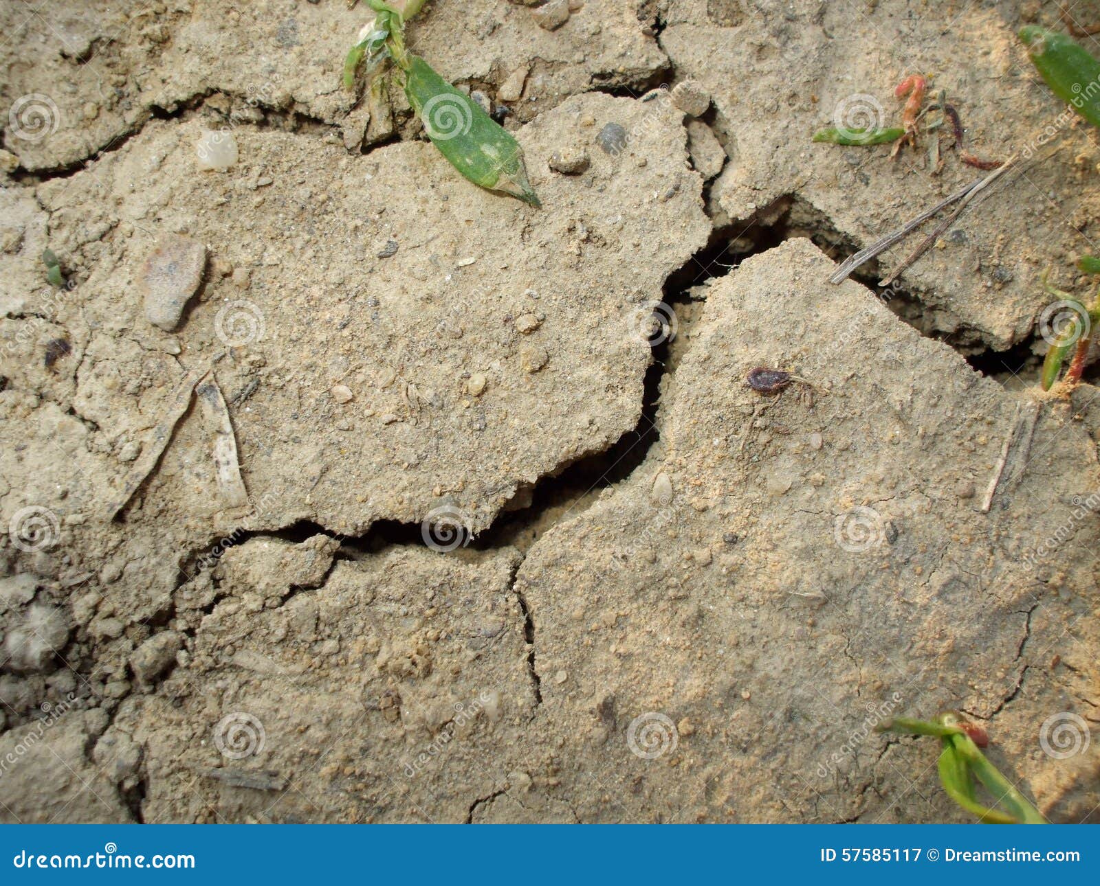 Crack in the ground stock image. Image of natural, land - 57585117