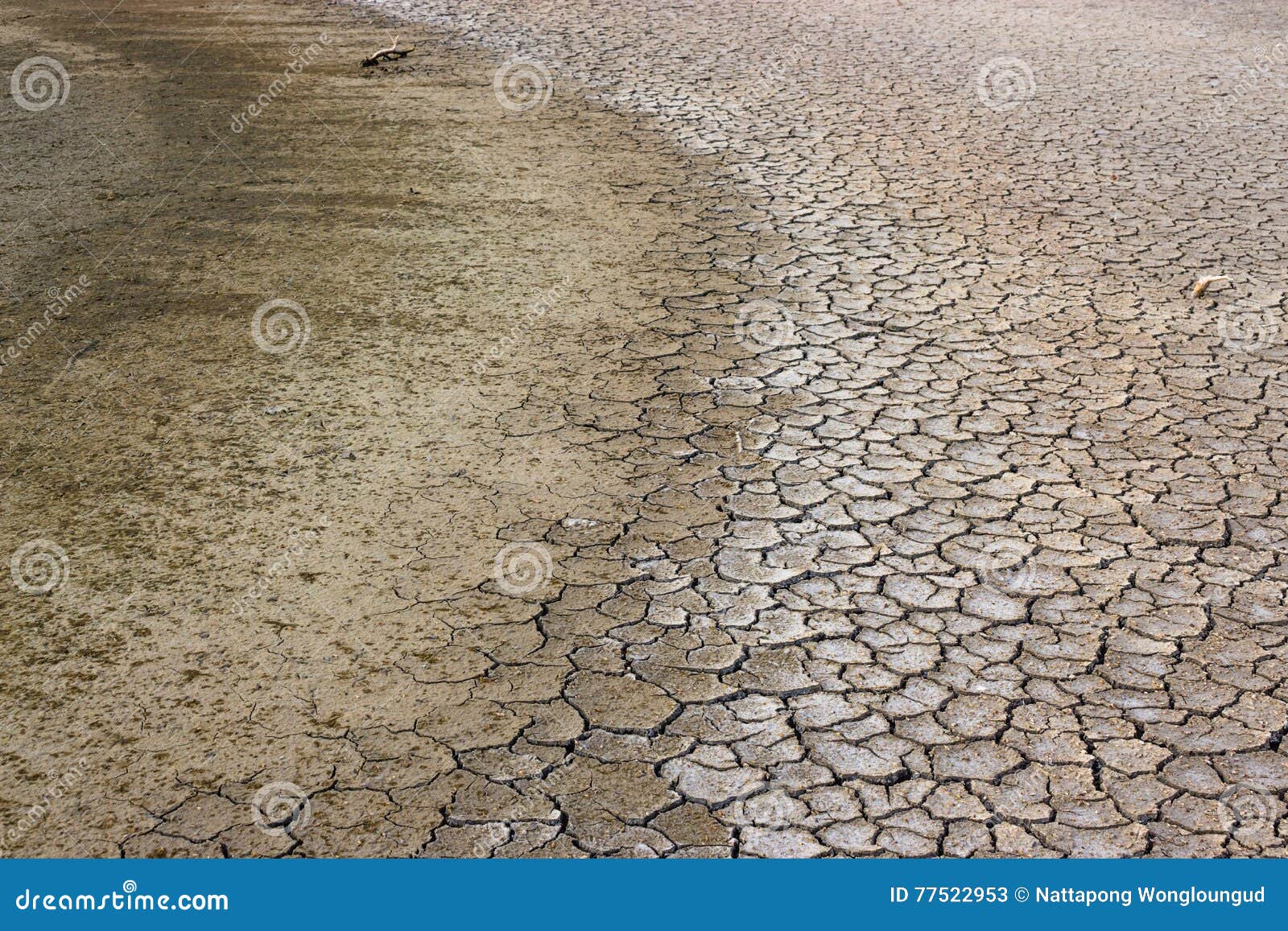 Crack ground mud drought. stock image. Image of shortages - 77522953