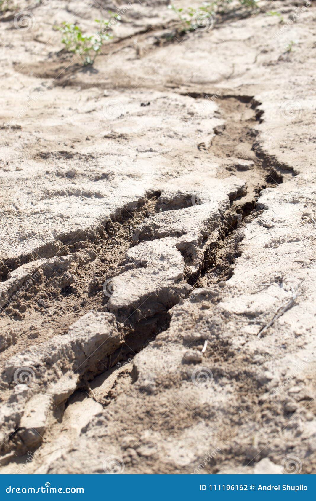 Crack in the Ground Outdoors Stock Photo - Image of ground, split ...