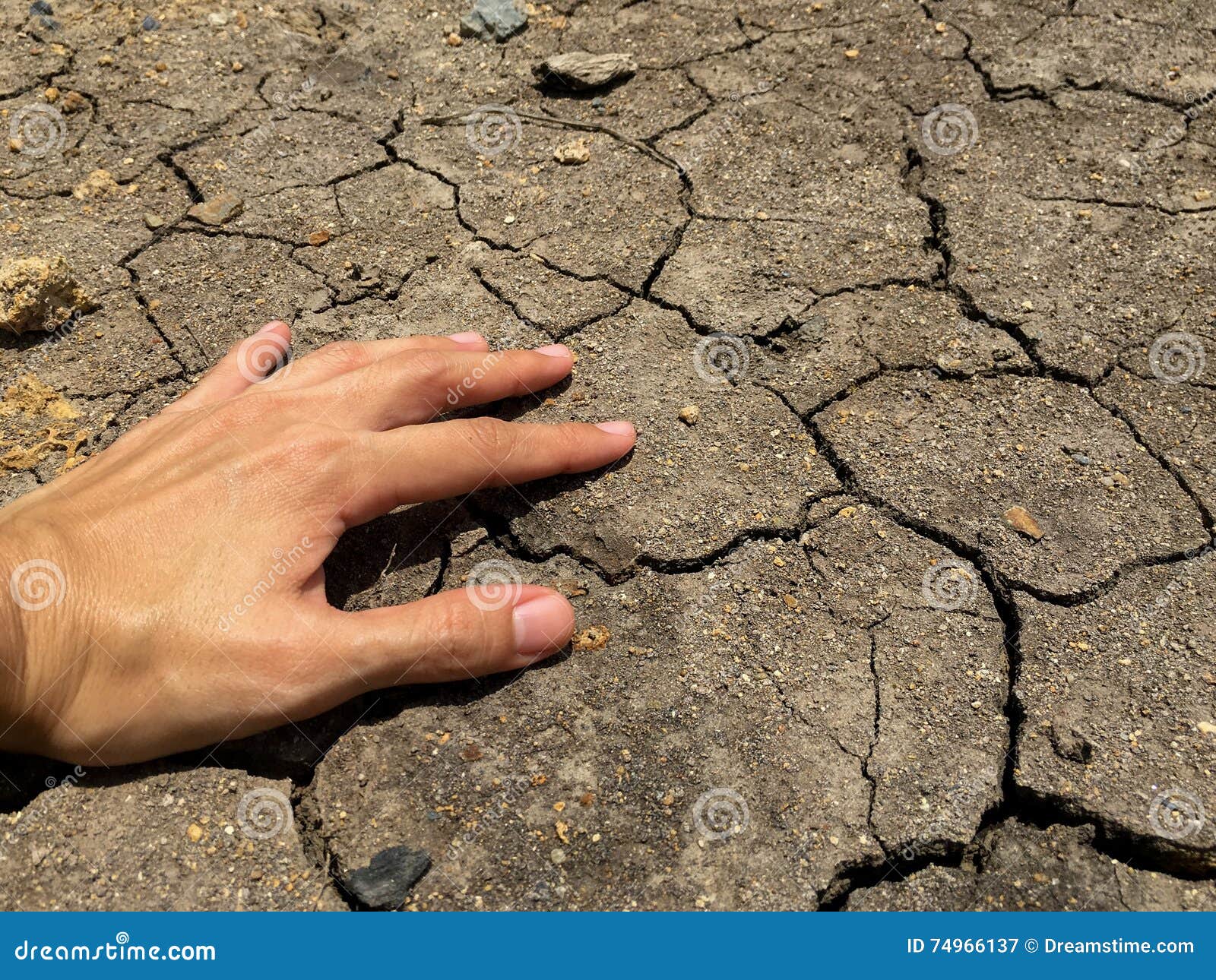 Crack Ground and Stress Hand Stock Image - Image of disaster, land ...
