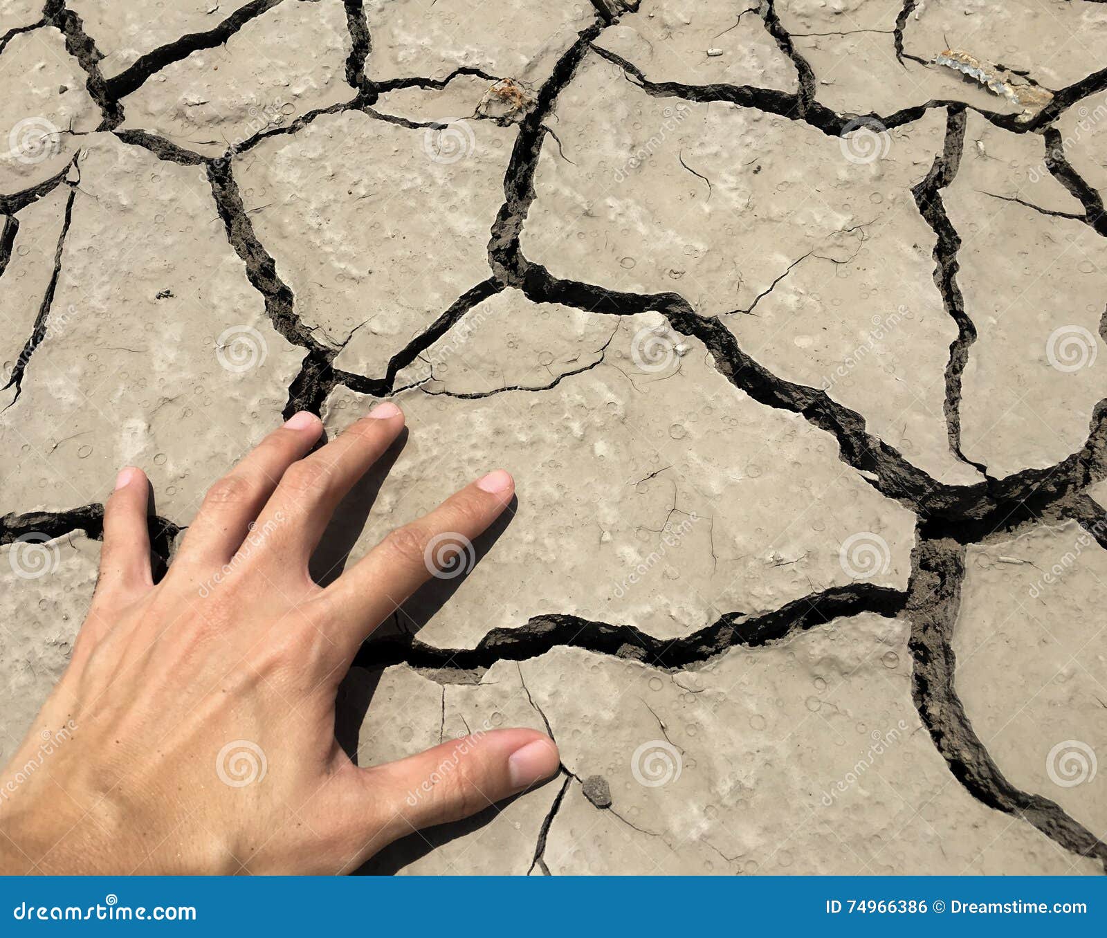 Crack Ground and Stress Hand Stock Photo - Image of season, nature ...