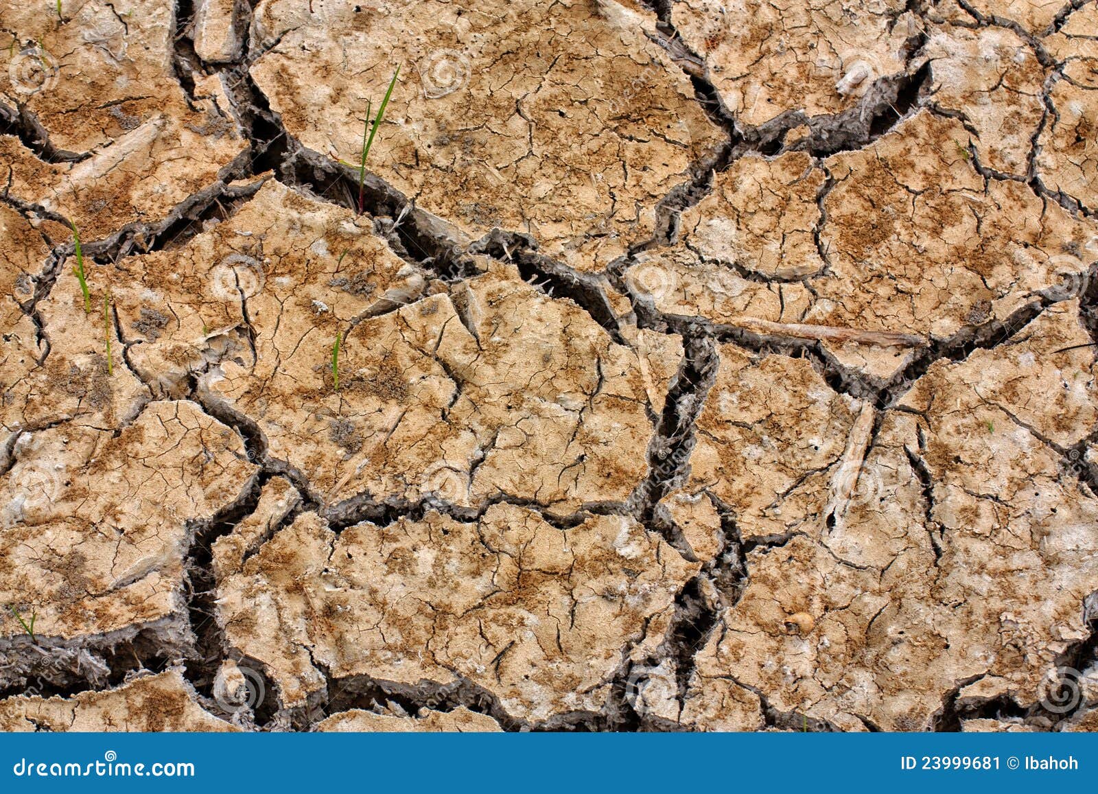 Crack land stock image. Image of soil, background, warming - 23999681