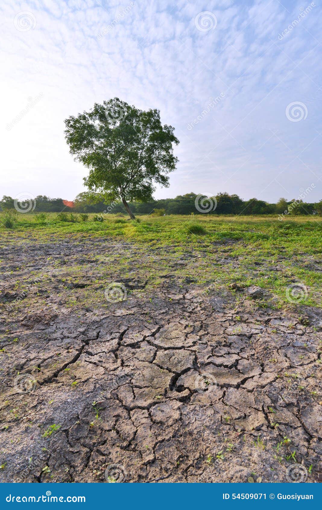 Crack on land stock image. Image of landscapes, grass - 54509071
