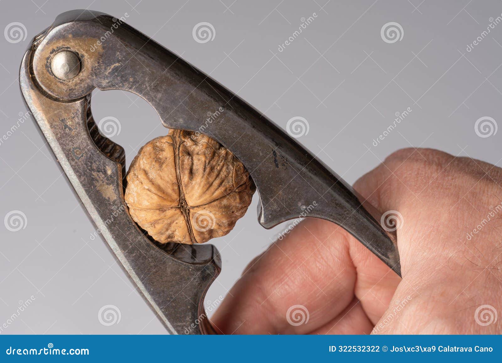 Crack a Nut with a Nutcracker Stock Photo - Image of healthy, eating ...