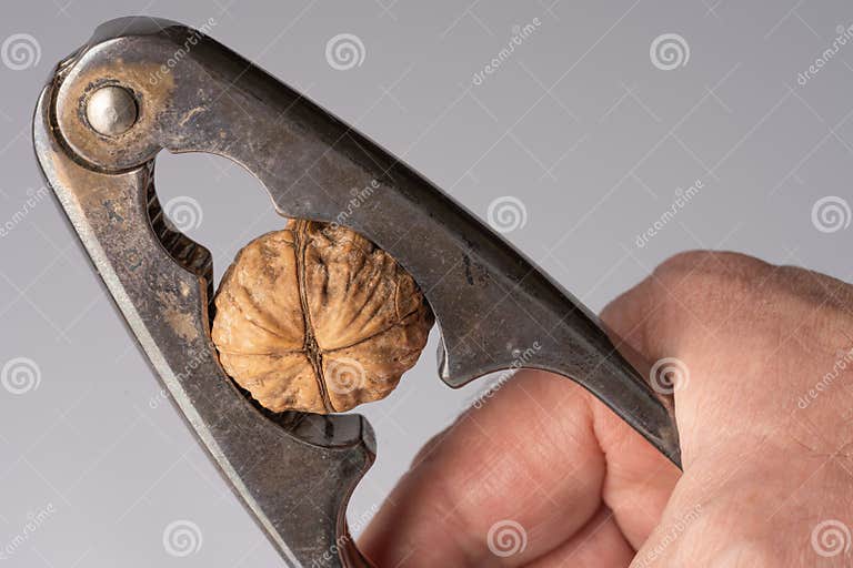 Crack a Nut with a Nutcracker Stock Photo - Image of healthy, eating ...