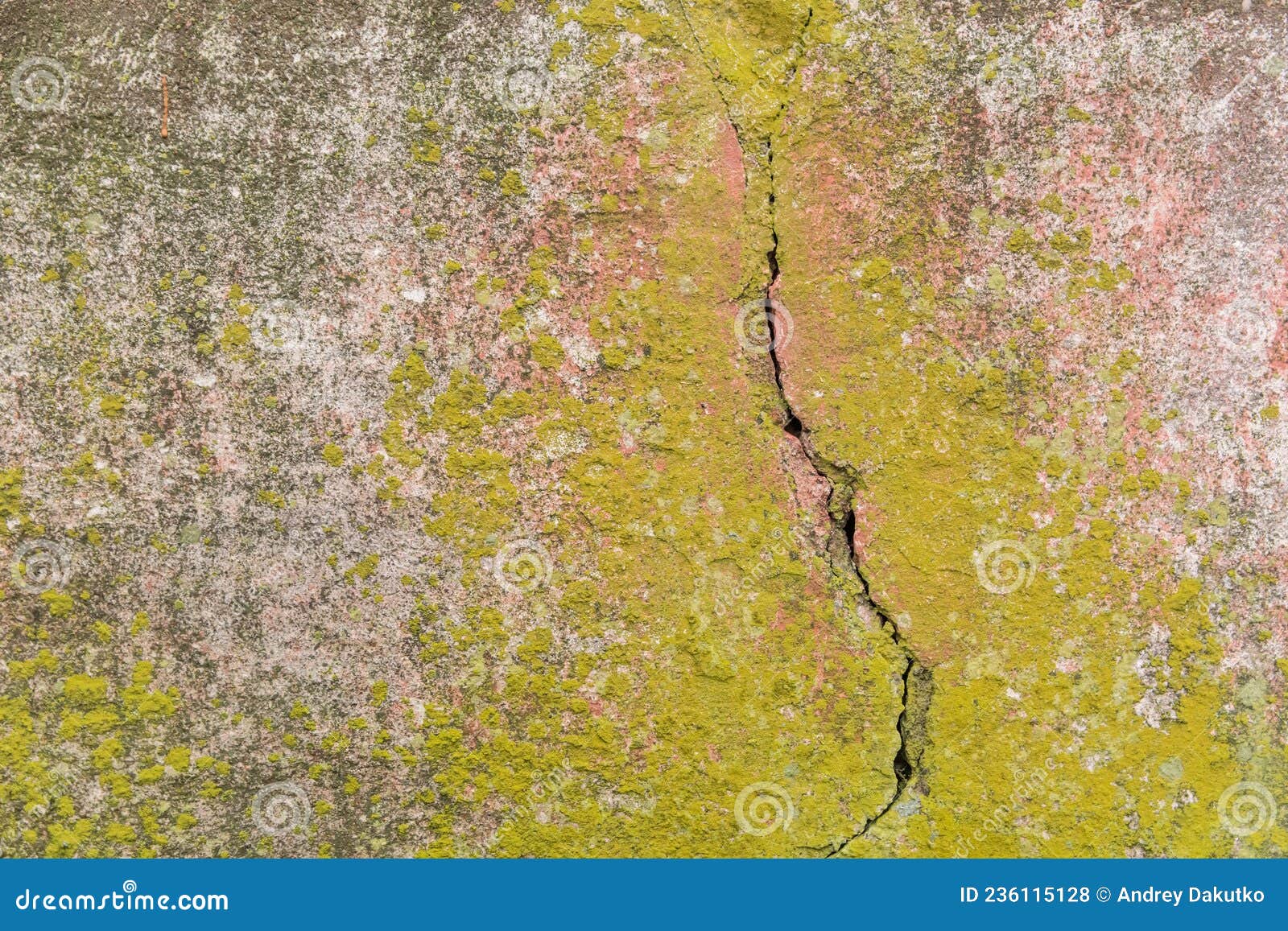 Crack on Old, Weathered, Dirty, Green with Mold Broken Wall Texture ...