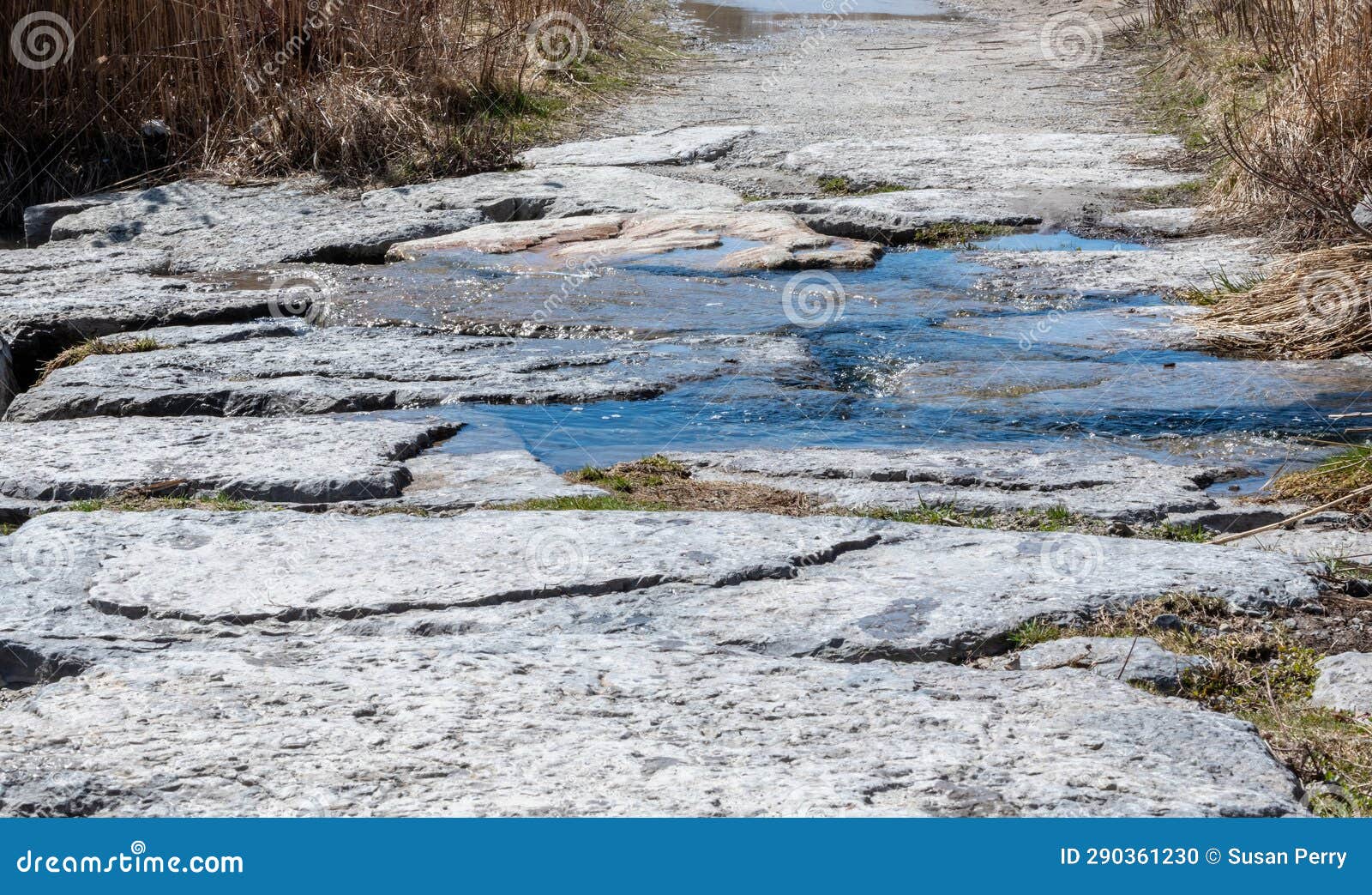 Crack Pathway Stones with Puddles Stock Photo - Image of shore ...