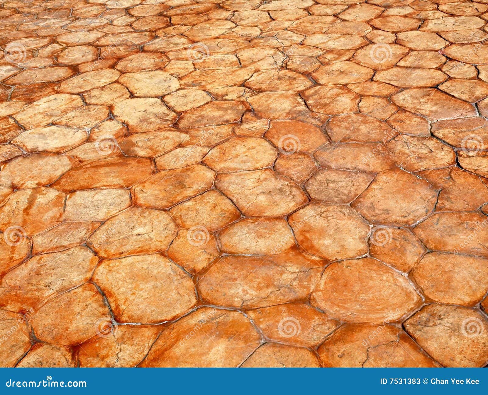 Crack pattern ground stock image. Image of brown, historic - 7531383