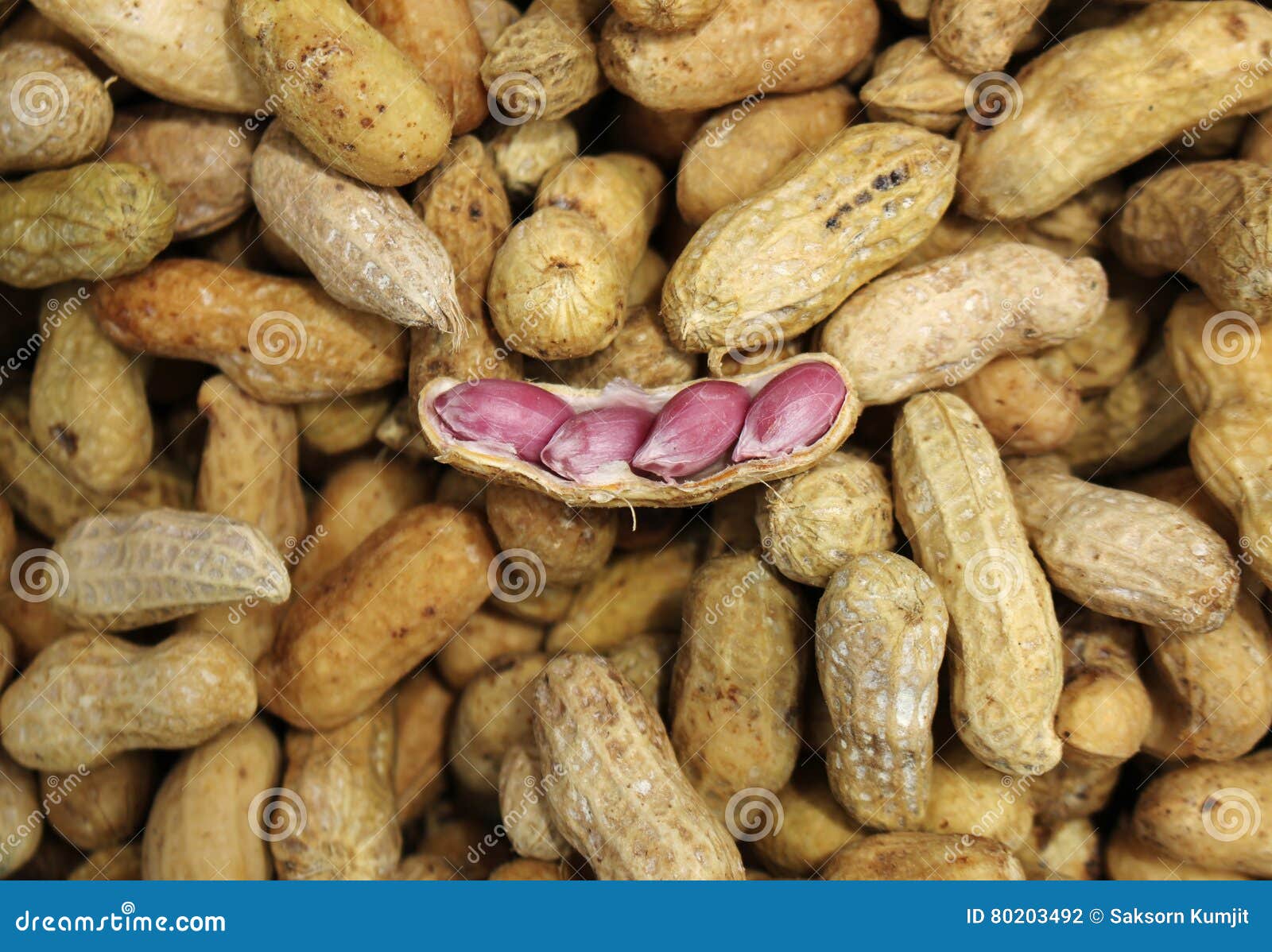 A Crack Peanut on the Top of Pile of Peanuts Stock Photo - Image of ...