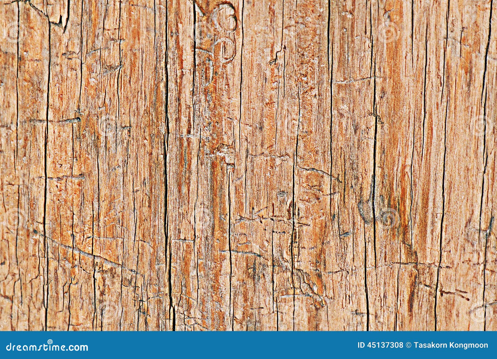 Crack and Scratch on Wood for Pattern Stock Photo - Image of carpentry ...