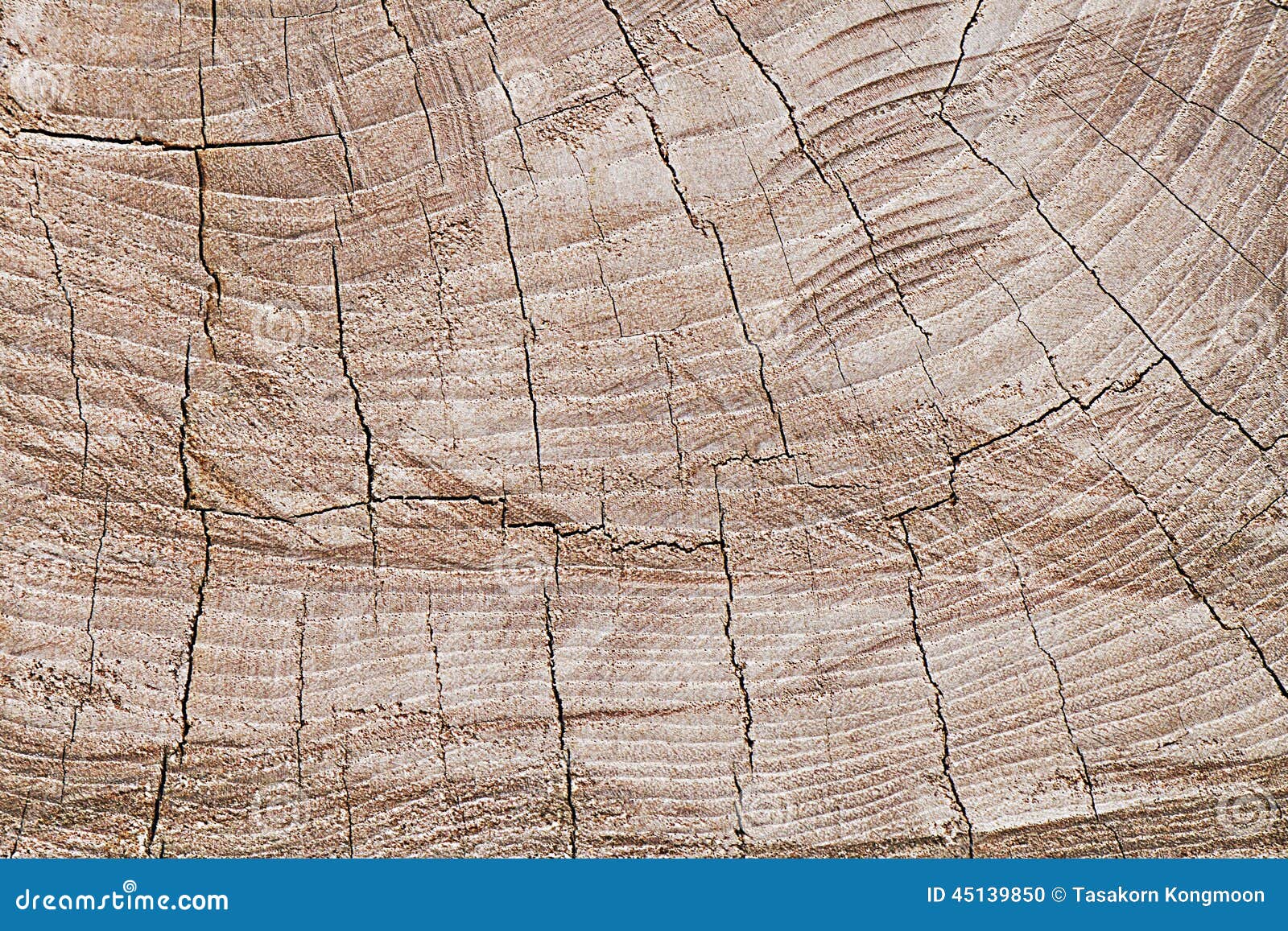 Crack and Scratch on Wood for Pattern Stock Photo - Image of pattern ...