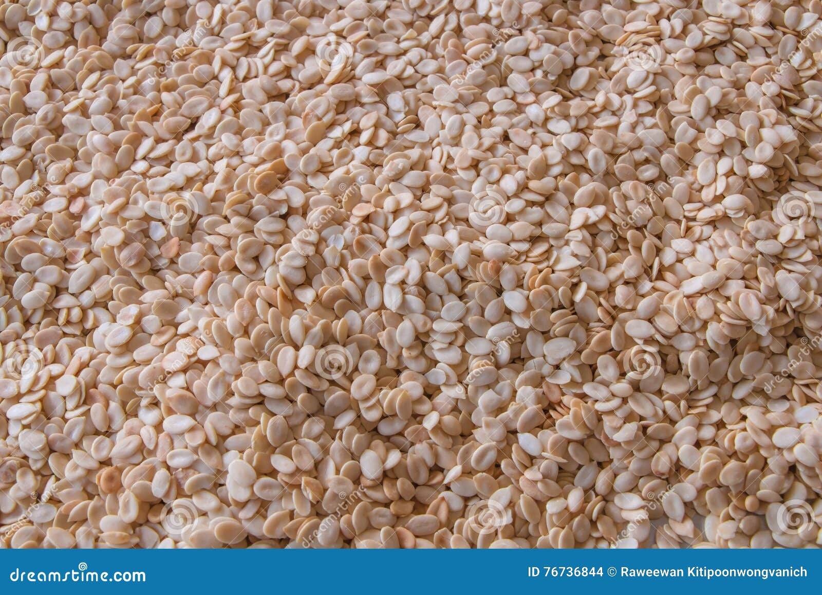 Crack Shell Watermelon Seed As Background Stock Photo - Image of melon ...