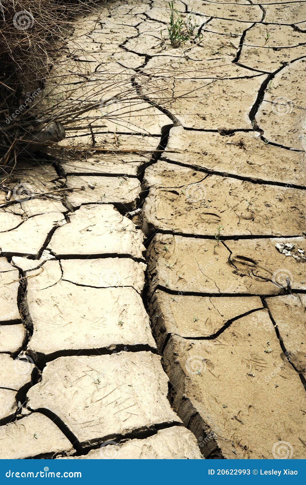 Crack soil stock image. Image of cracking, soil, flaw - 20622993