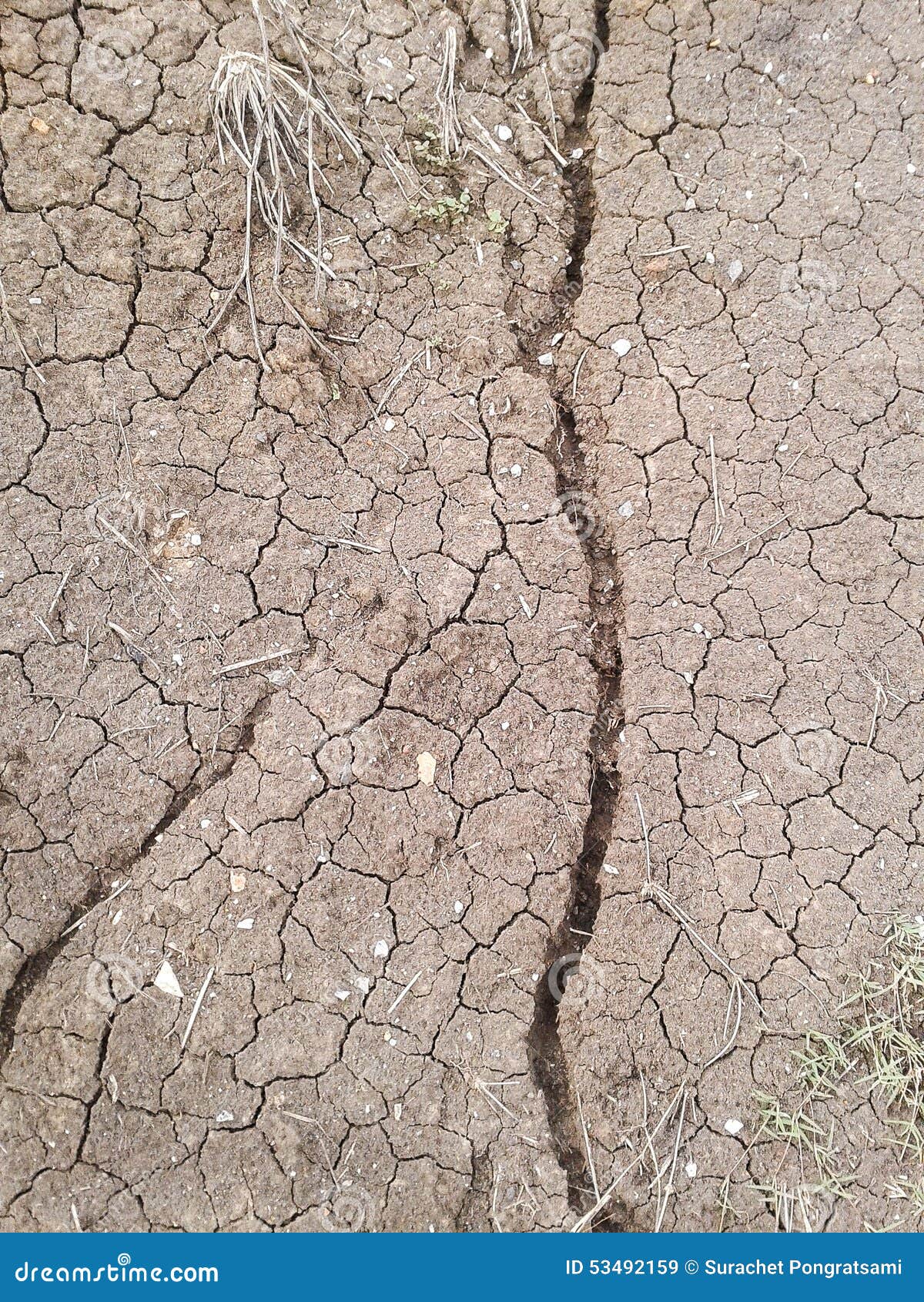Crack Soil Royalty-Free Stock Photography | CartoonDealer.com #53492159