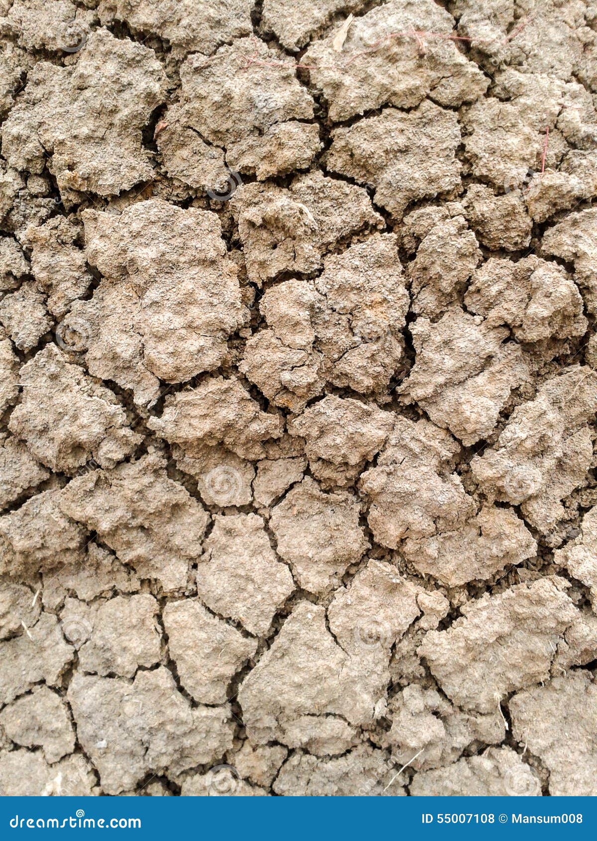 Crack soil stock photo. Image of summer, soil, grunge - 55007108
