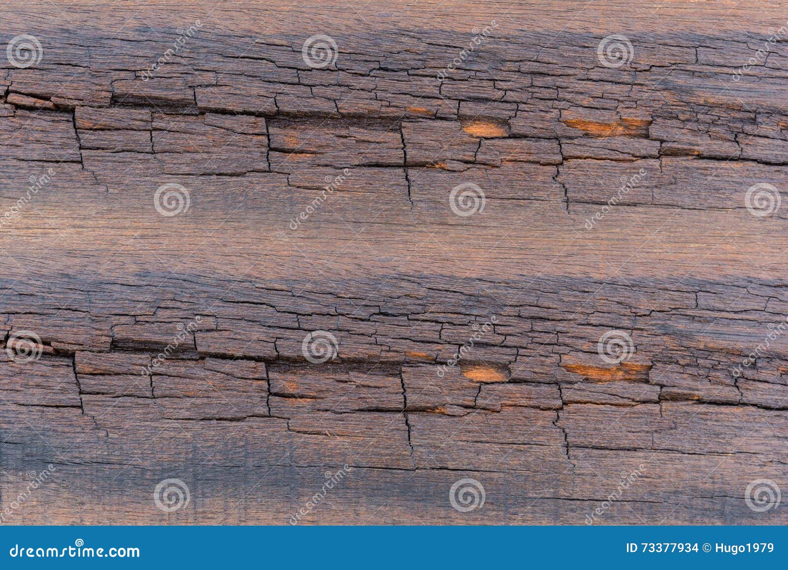 Crack texture on wood stock photo. Image of background - 73377934