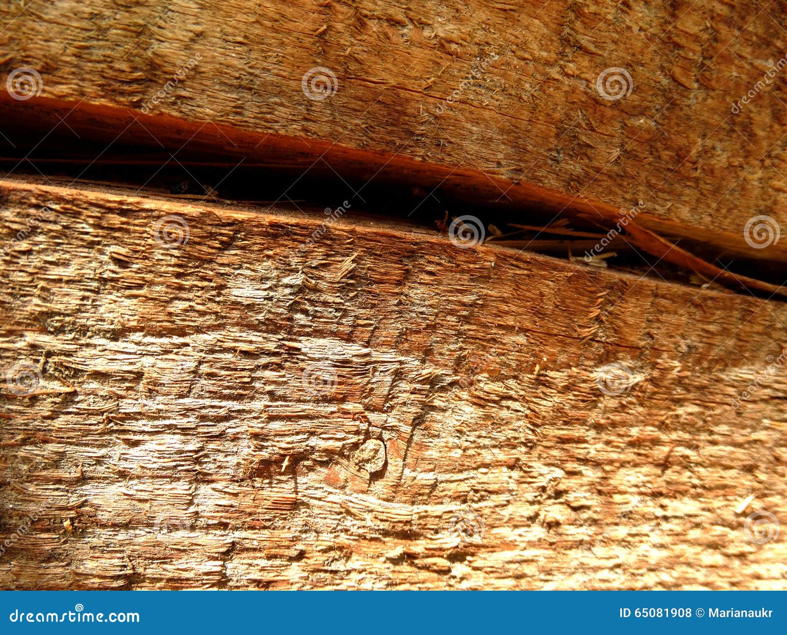 Crack in the wood stock photo. Image of deep, wood, tree - 65081908