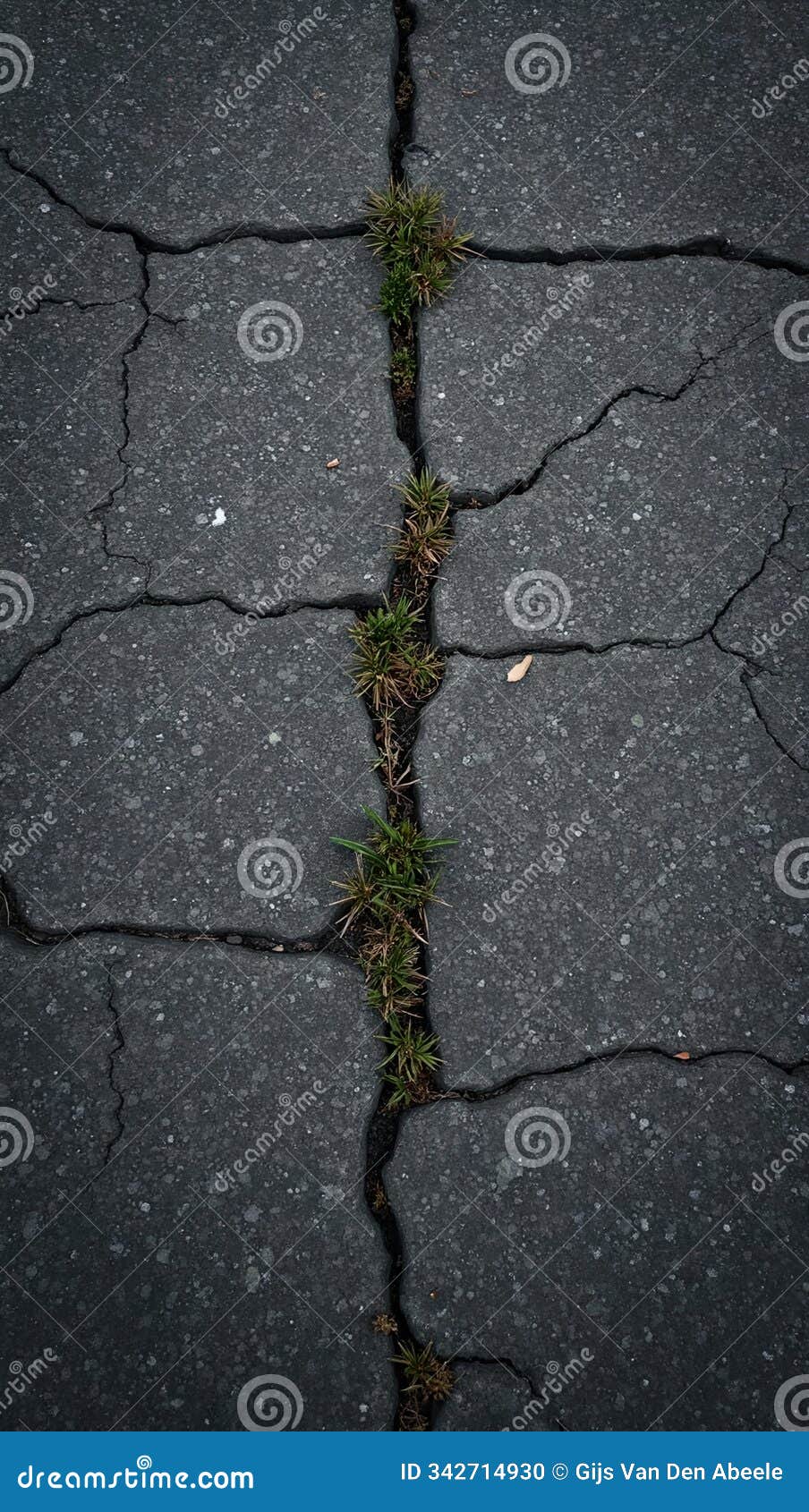 Cracked Asphalt Road with Weeds Urban Grit Stock Illustration ...