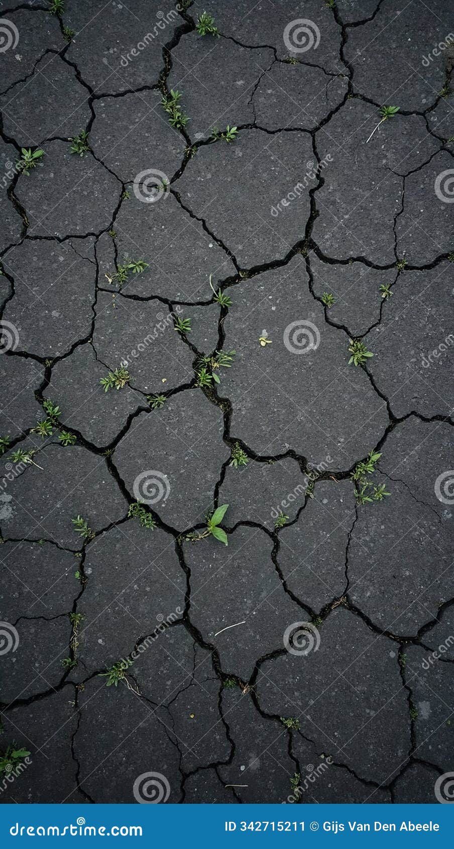 Cracked Asphalt Road with Weeds Urban Grit Stock Illustration ...