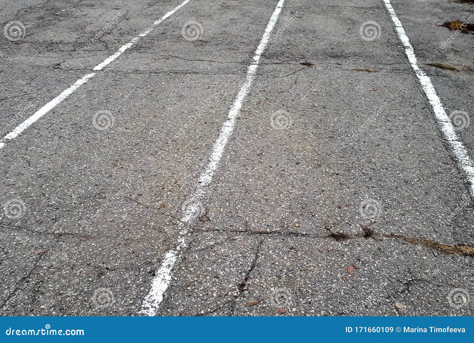 Cracked Asphalt Texture of a Bike Path in a Public Park. Stock Image ...