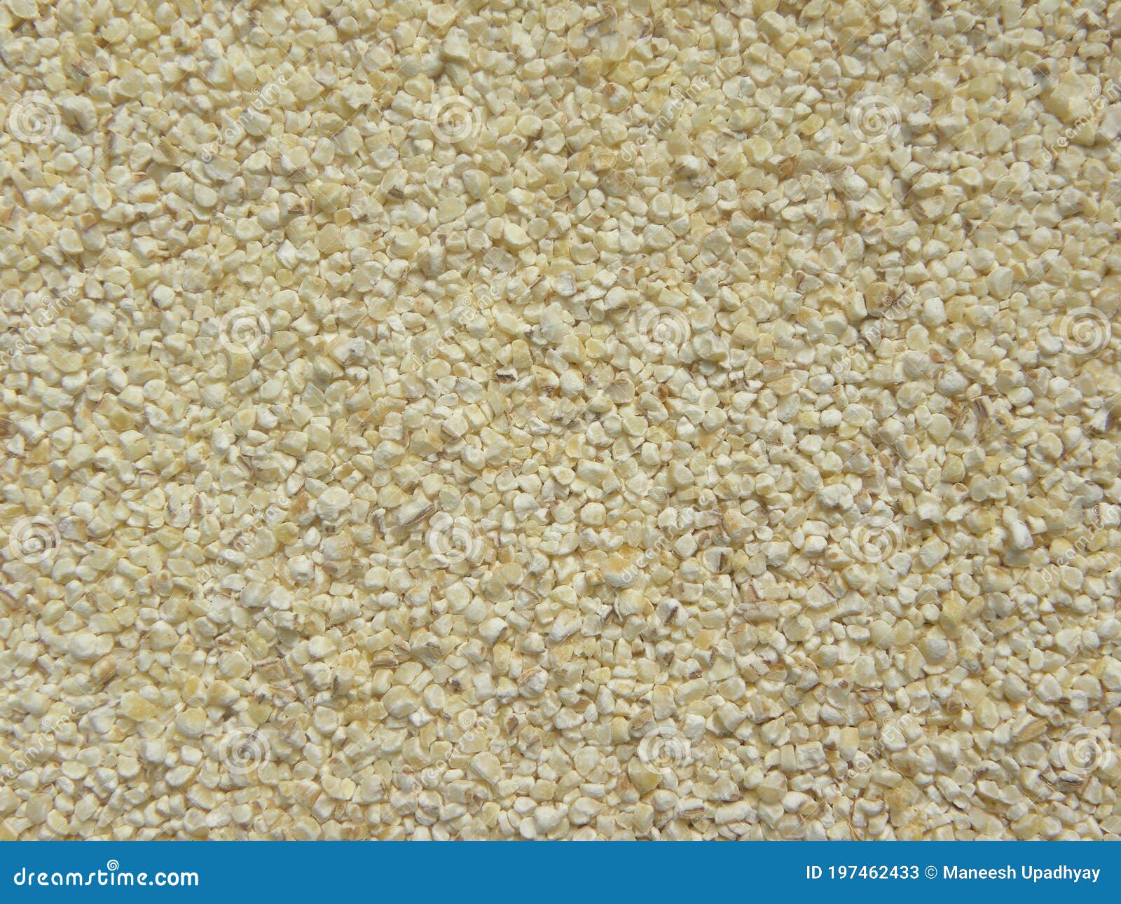 Cracked Barley stock image. Image of cooking, fiber - 197462433