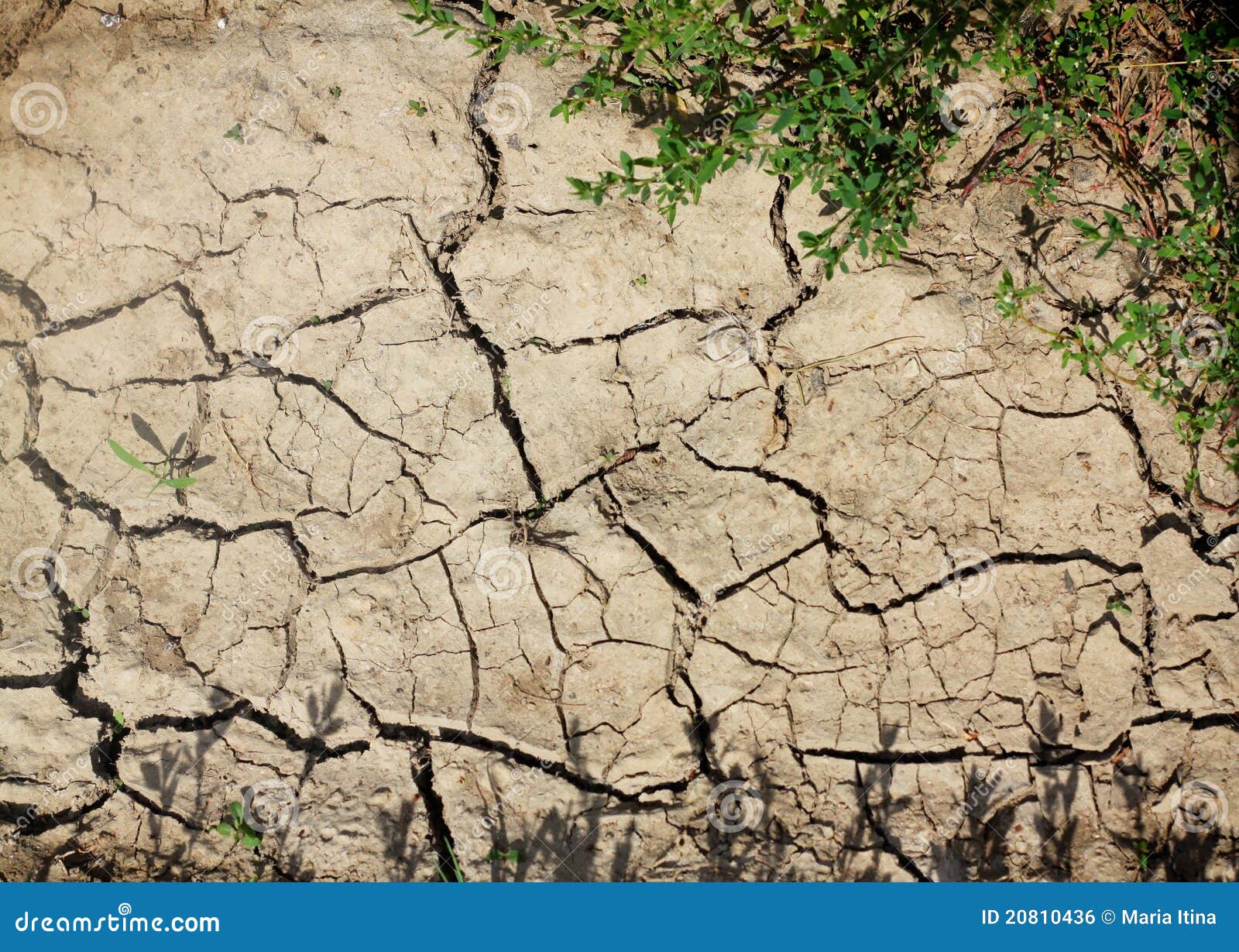 Cracked and barren ground stock photo. Image of drain - 20810436