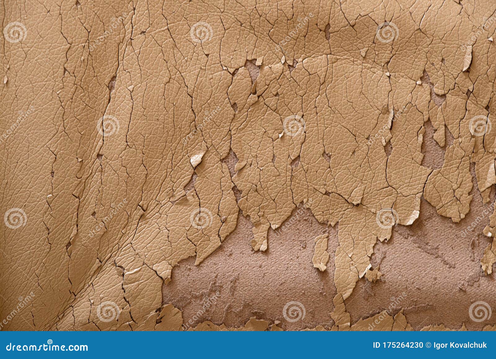 Cracked Beige Leather Texture Stock Photo - Image of hide, creased ...