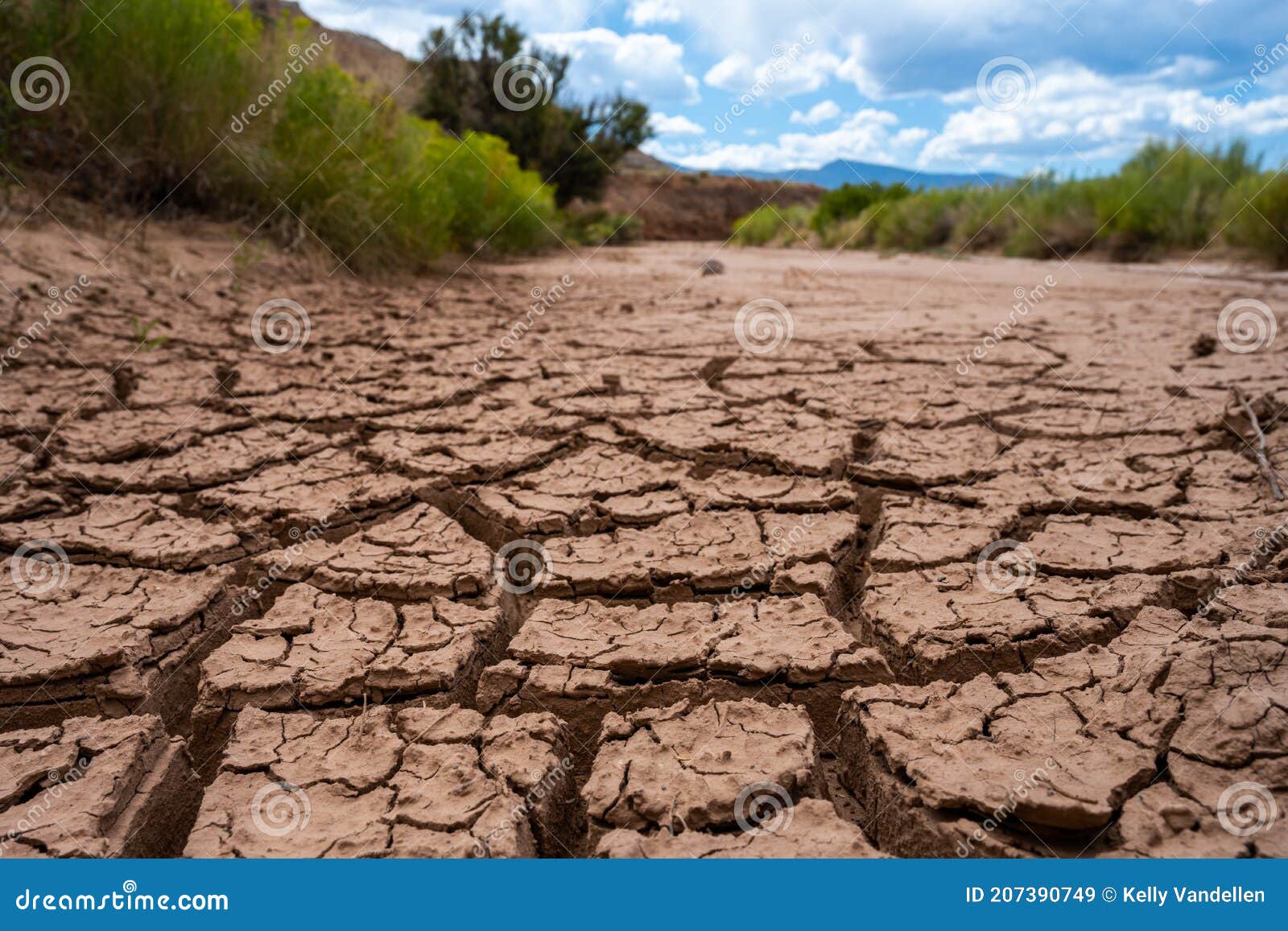 Cracked Bottom of Dry Wash Lined with Green Bushes Stock Image - Image ...