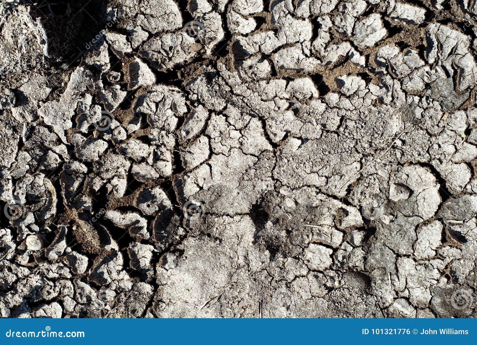 Cracked Dry Mud stock photo. Image of broken, dust, clay - 101321776