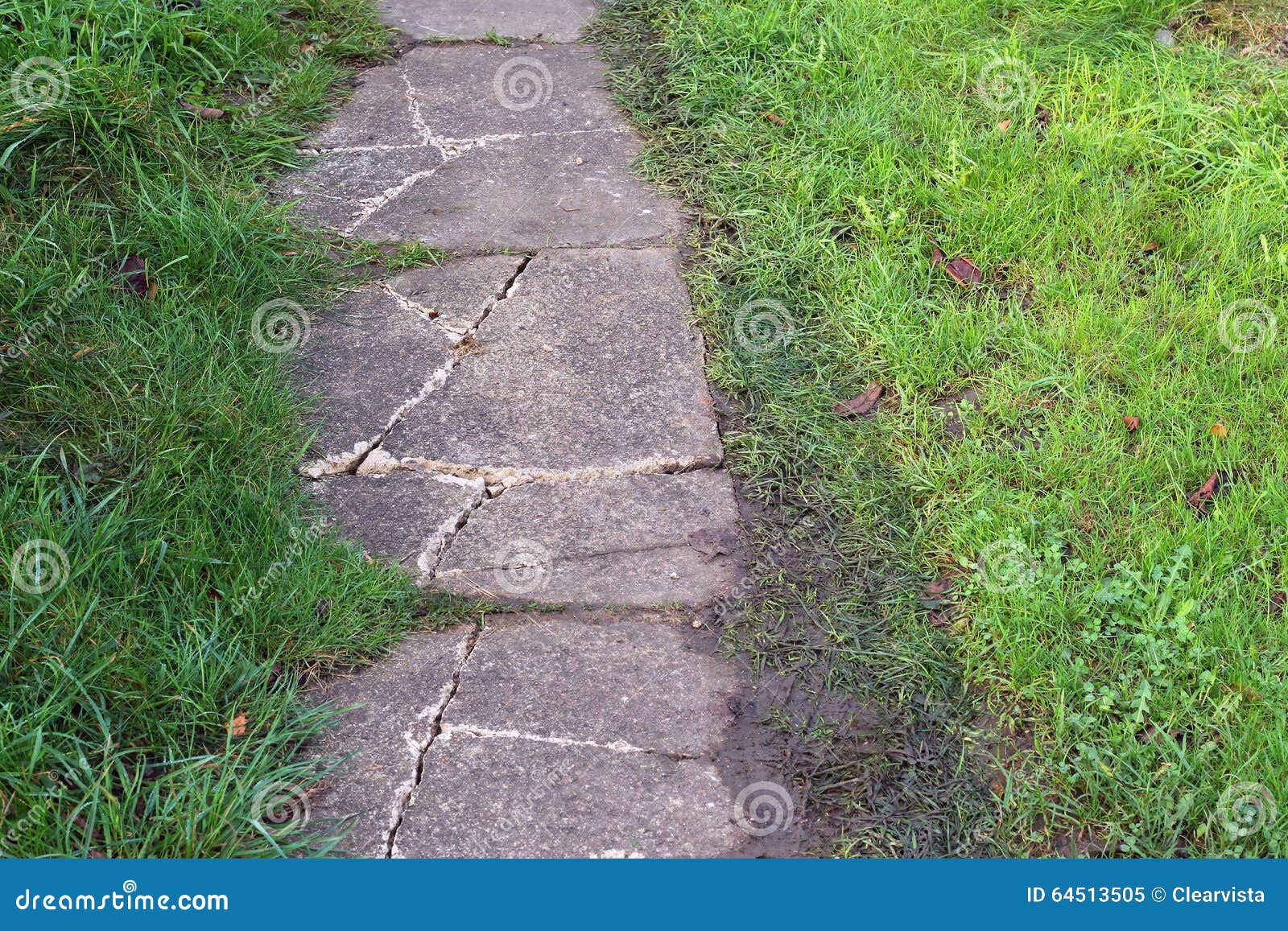 Cracked or Broken Garden Path. Stock Image - Image of stone, cracked ...