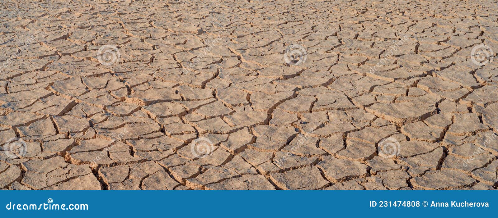 Cracked Brown Mud, Barren Land Surface Panorama Stock Photo - Image of ...