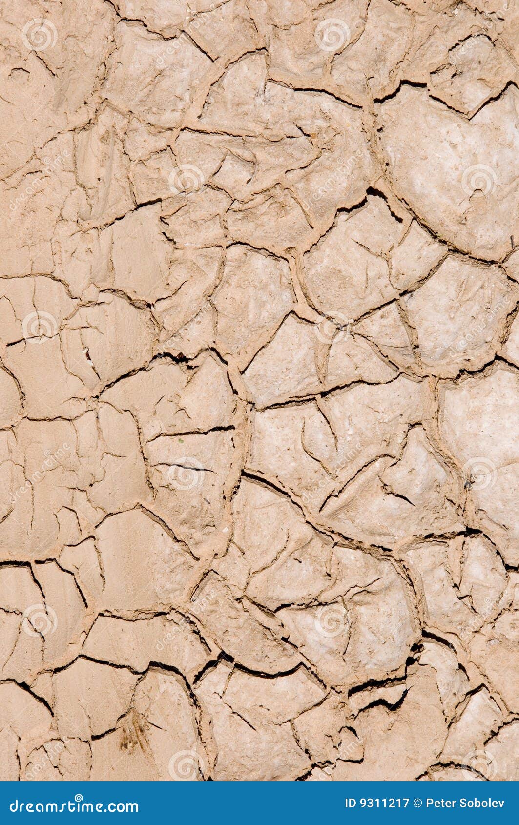 Cracked clay stock image. Image of climate, fissure, cleft - 9311217