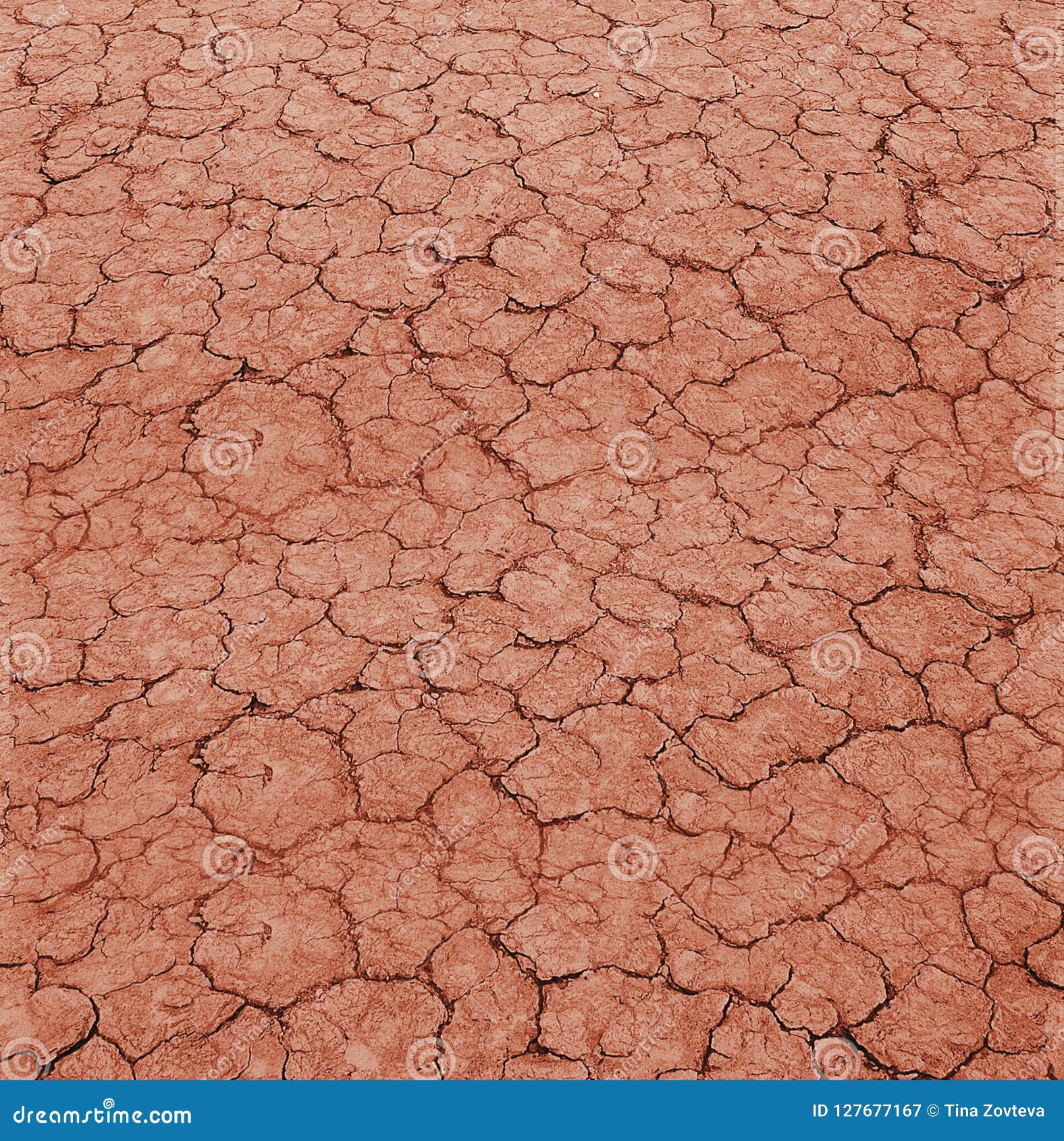 Cracked clay ground stock image. Image of erosion, earth - 127677167