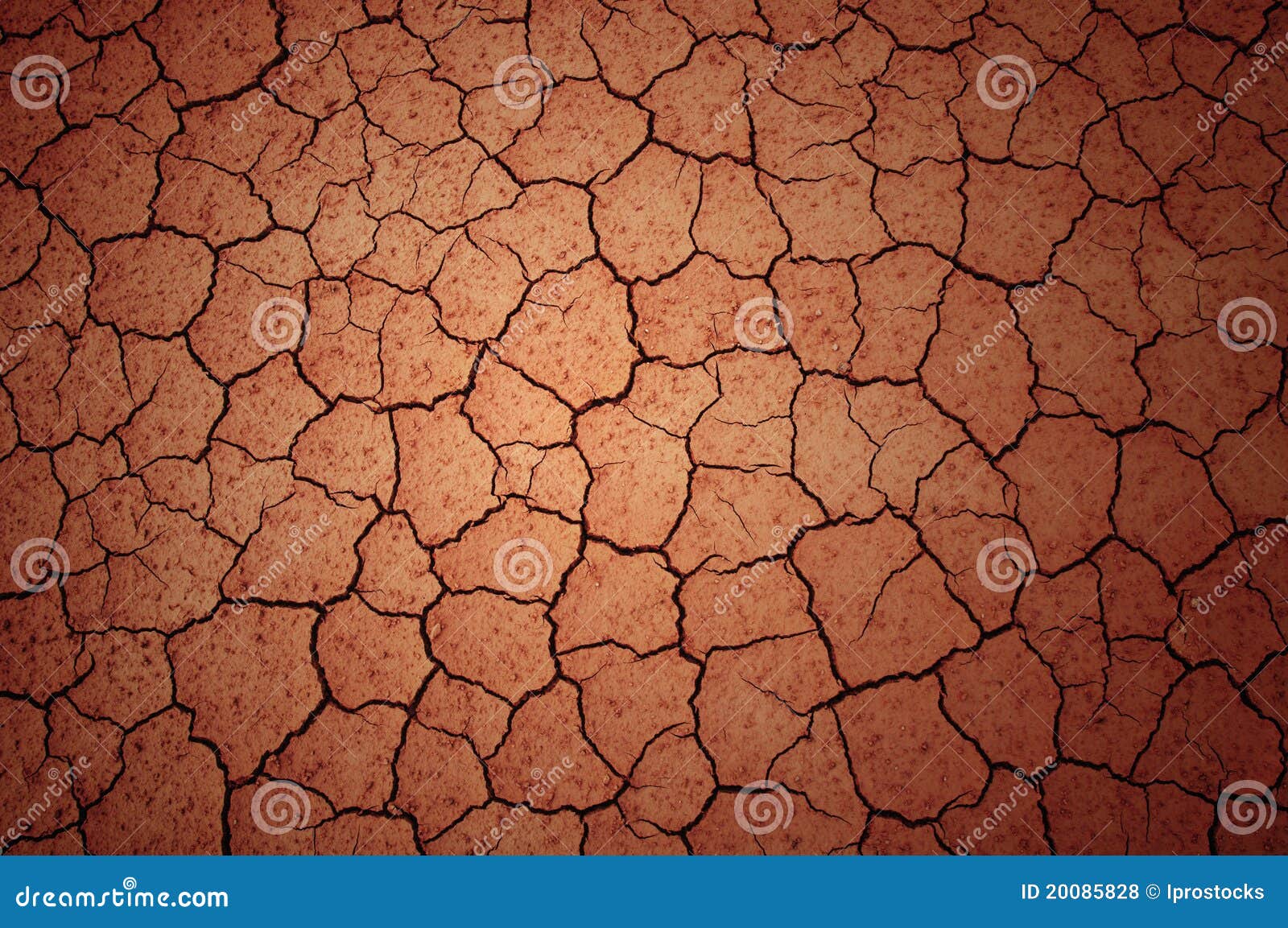 Cracked clay ground stock photo. Image of brown, damage - 20085828
