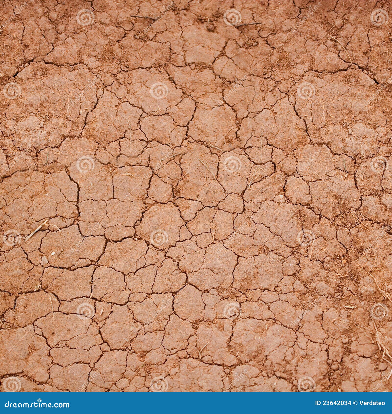 Cracked clay ground stock photo. Image of land, broken - 23642034
