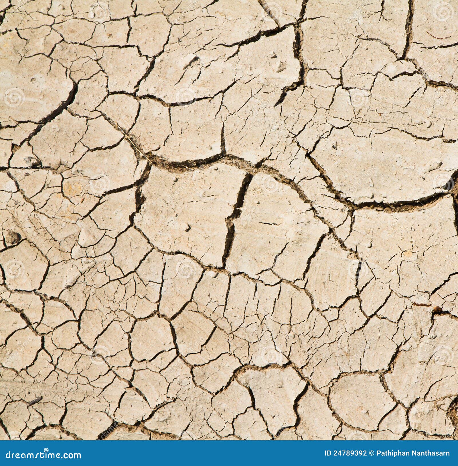 Cracked clay ground stock photo. Image of dead, clay - 24789392