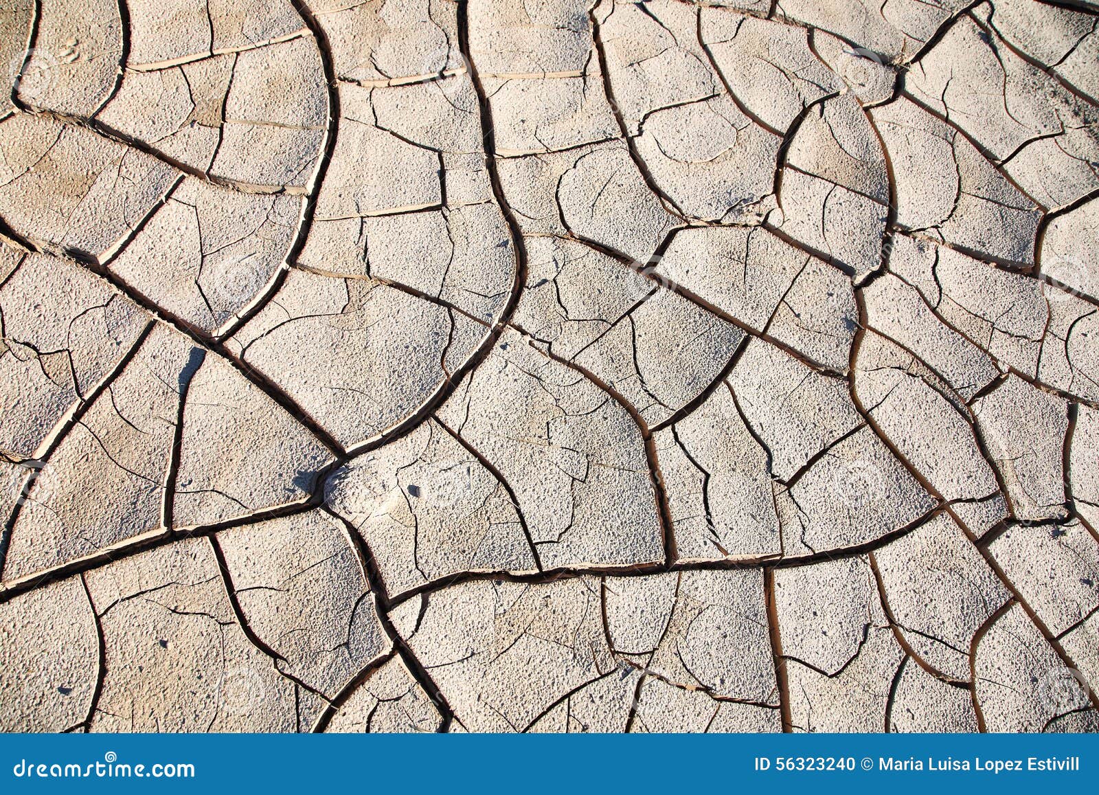 Cracked clay ground stock photo. Image of dryness, cracked - 56323240