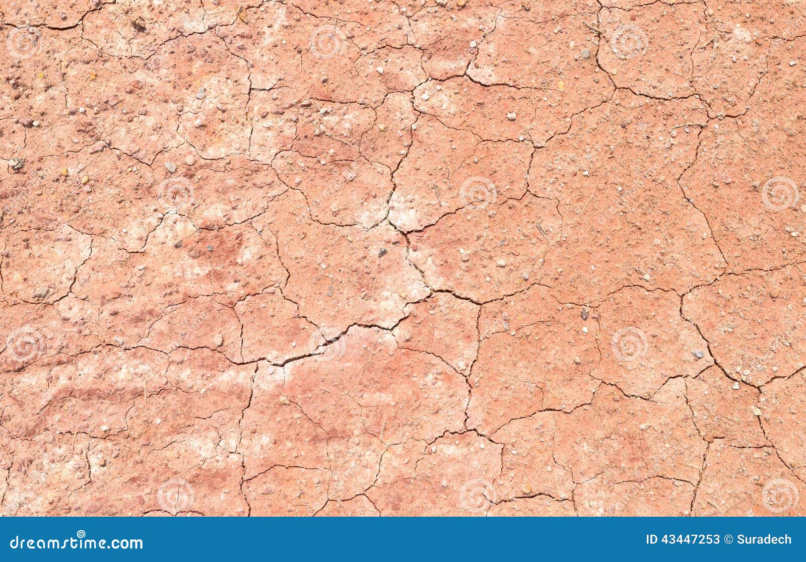 Cracked clay ground stock image. Image of ground, environmental - 43447253