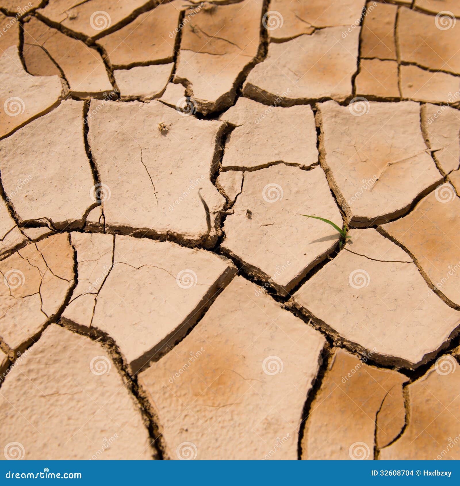 Cracked clay ground stock photo. Image of dead, damage - 32608704