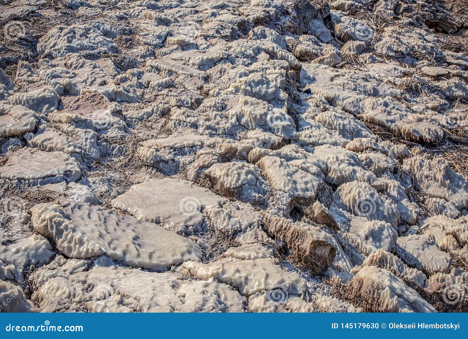 Cracked Clay with Salt on the Seafront of the Dead Sea Stock Photo ...