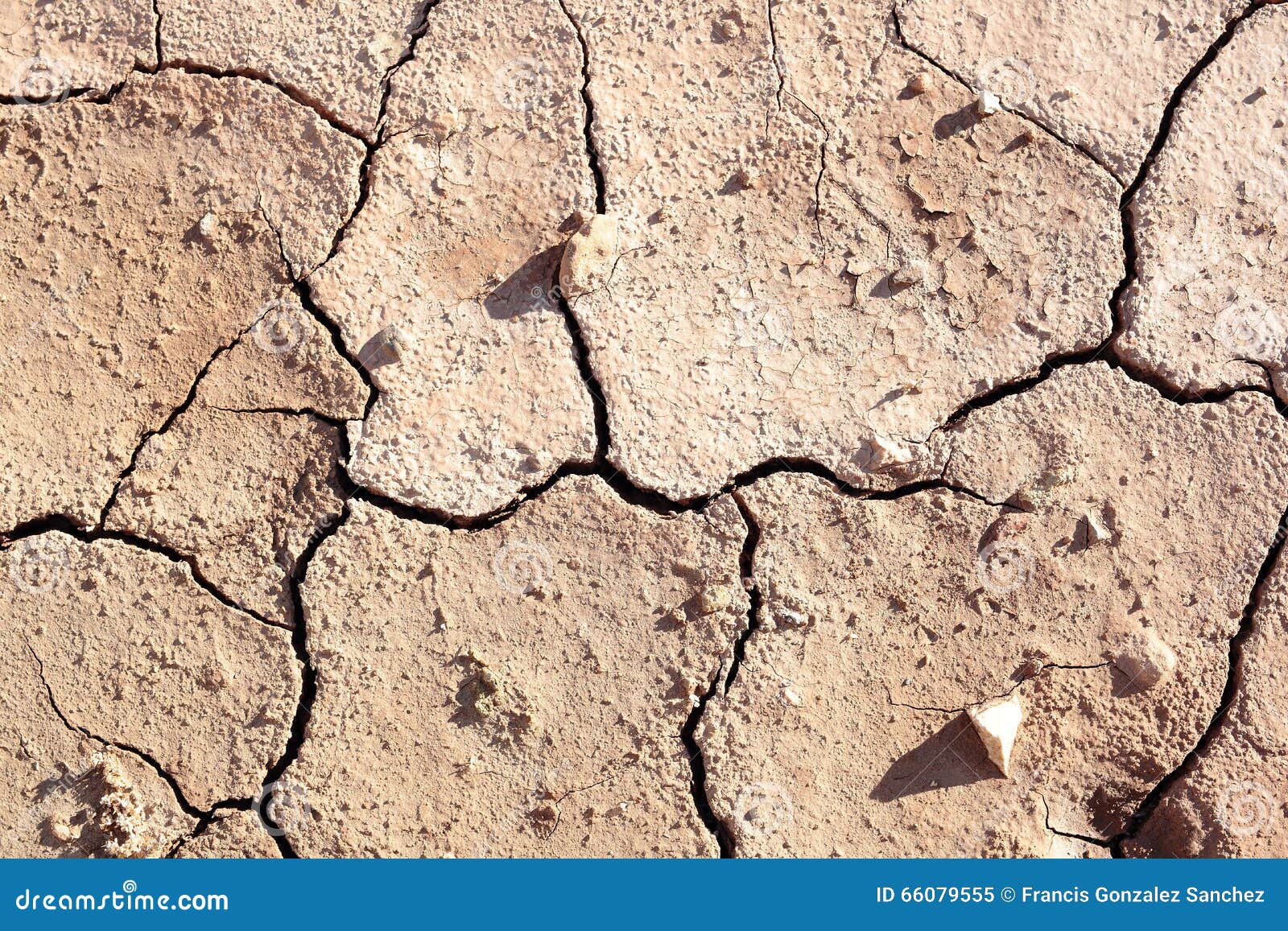 Cracked clay soil stock image. Image of nature, cracked - 66079555