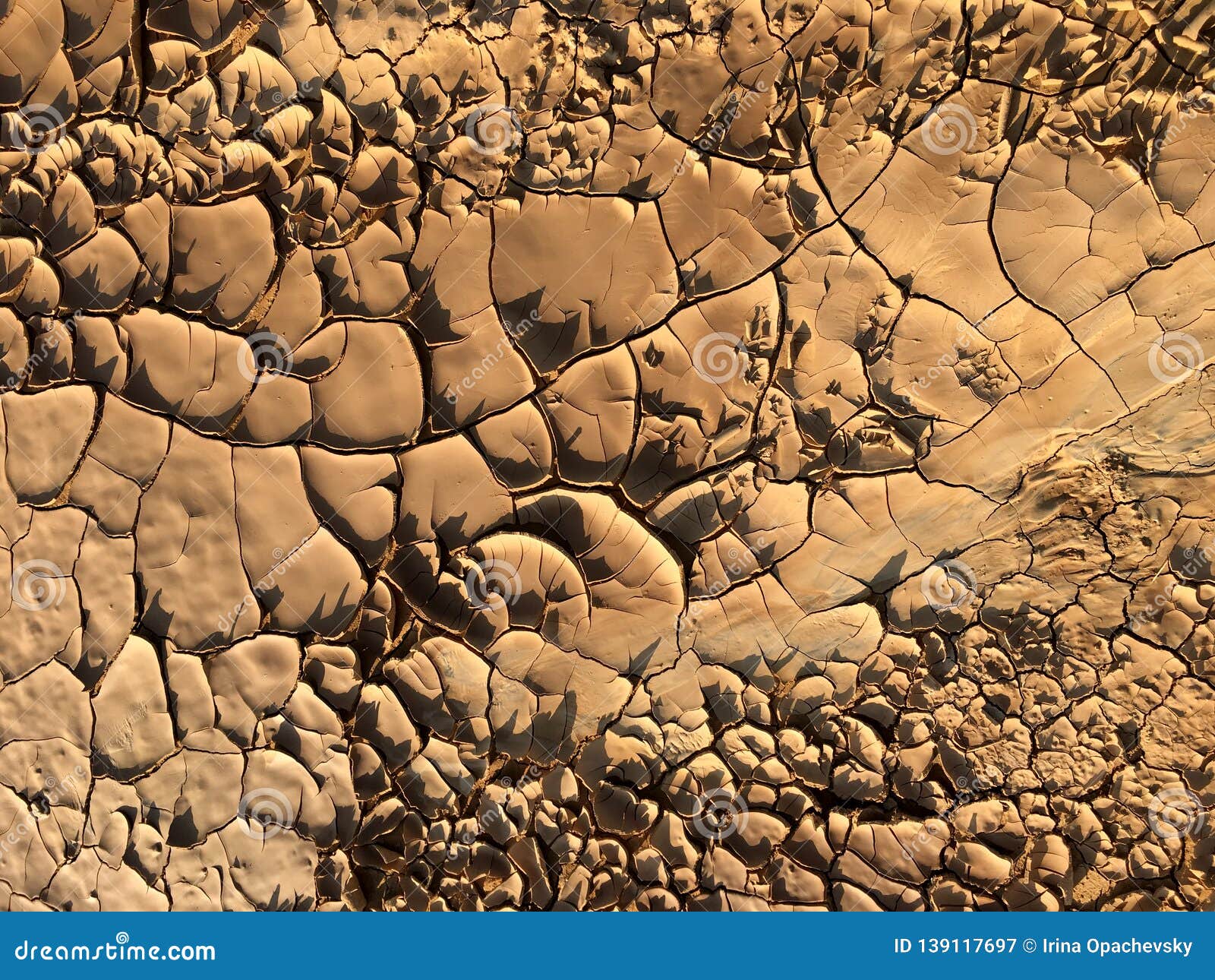 Cracked clay texture stock image. Image of oblique, cracked - 139117697