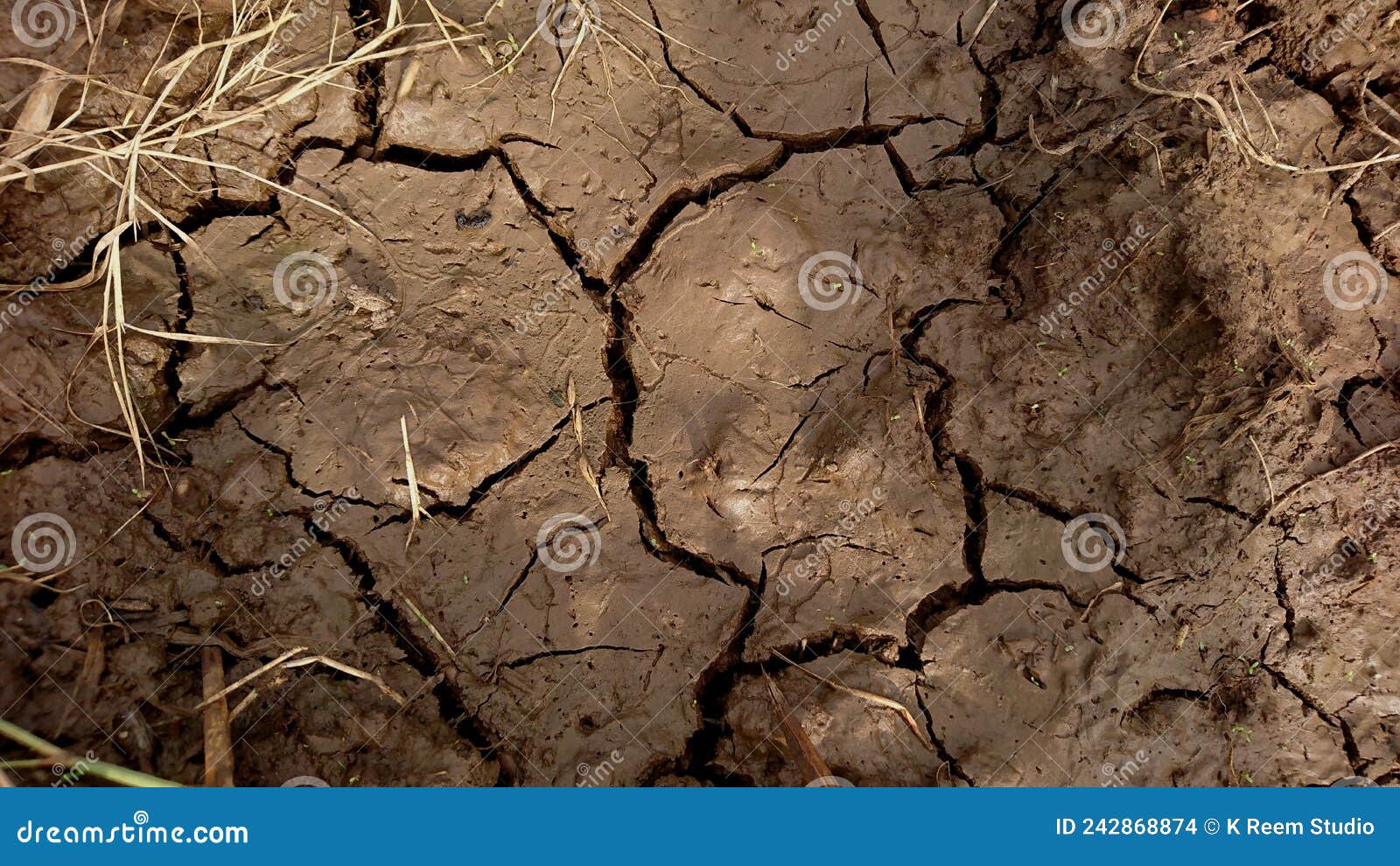 Cracked Clay Texture, Seen from Above Stock Photo - Image of distance ...