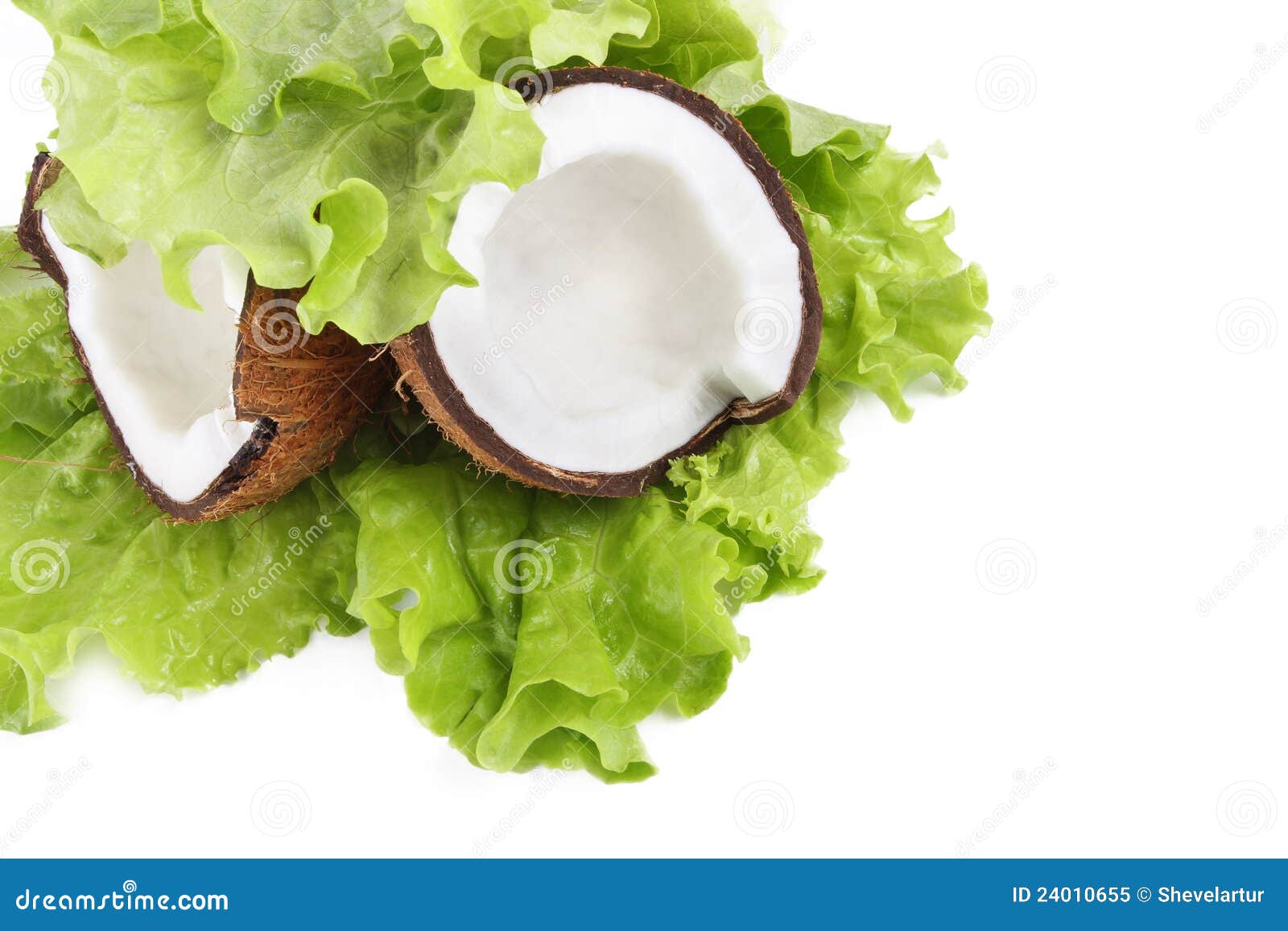 Cracked coconut stock image. Image of palm, leaf, nutrition - 24010655