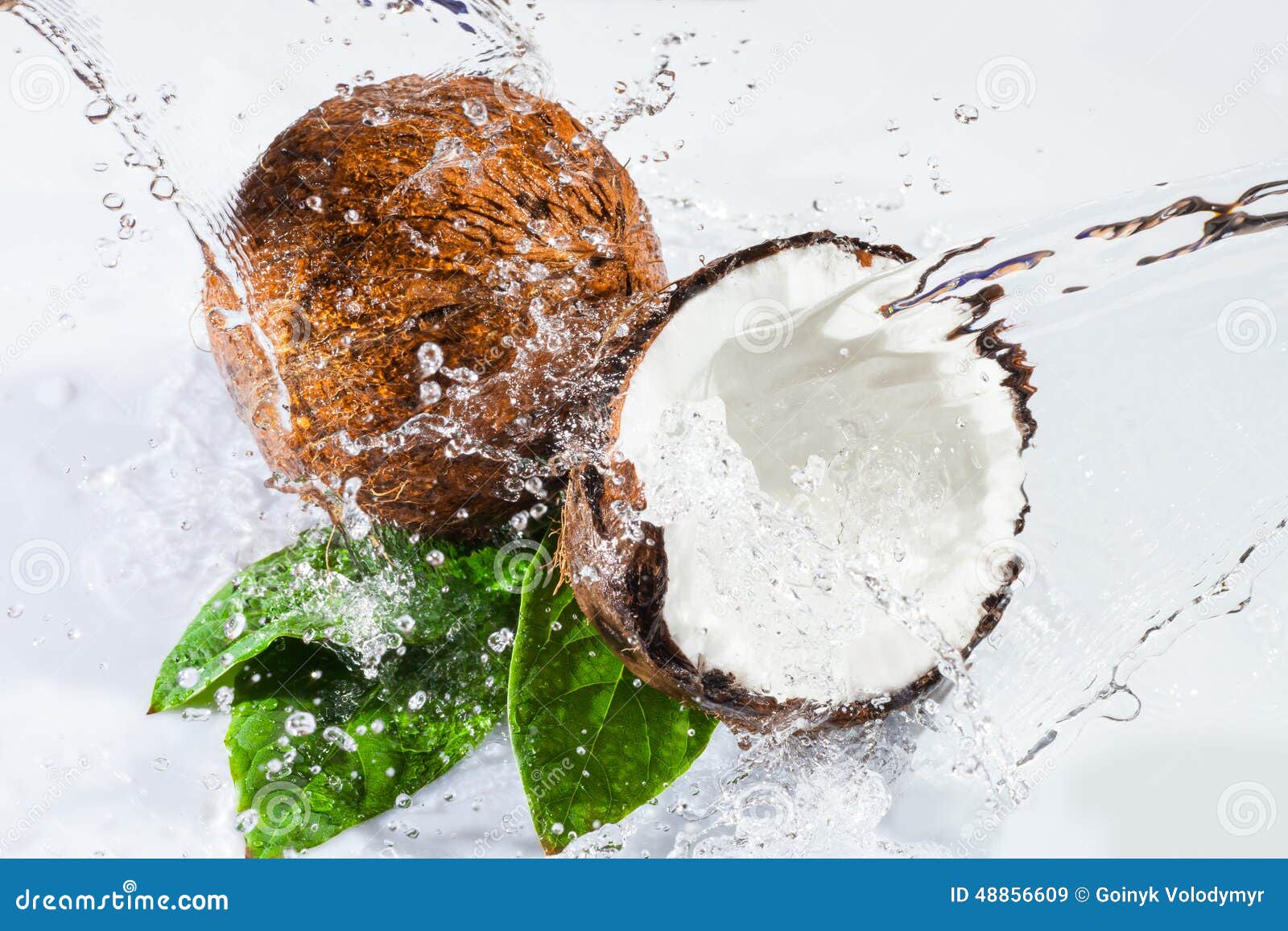Cracked coconut stock image. Image of drop, pouring, green - 48856609