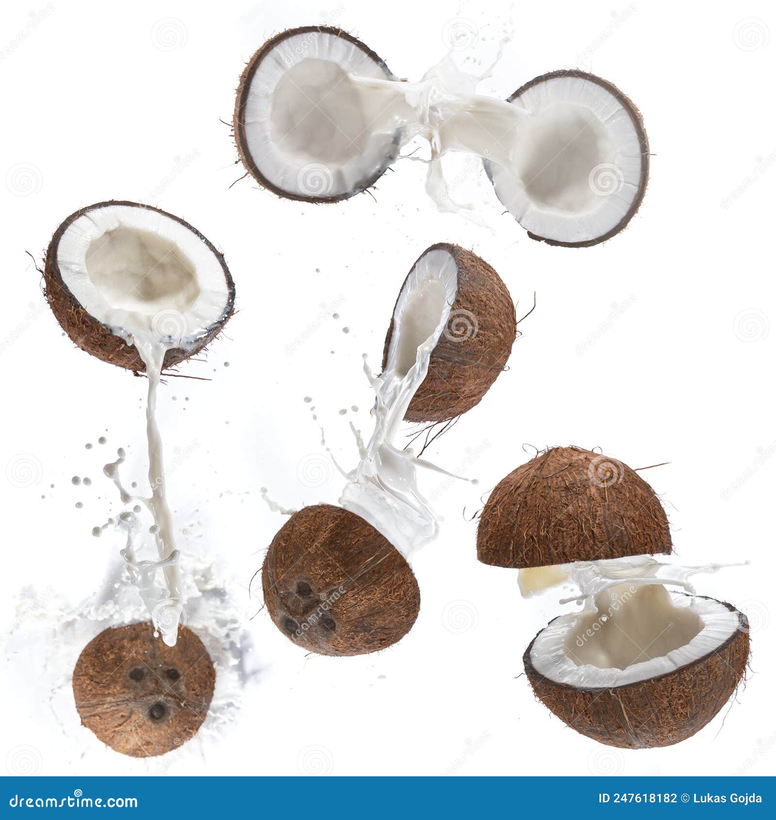 Cracked Coconut with Milk Splash Flying in the Air. Stock Photo - Image ...