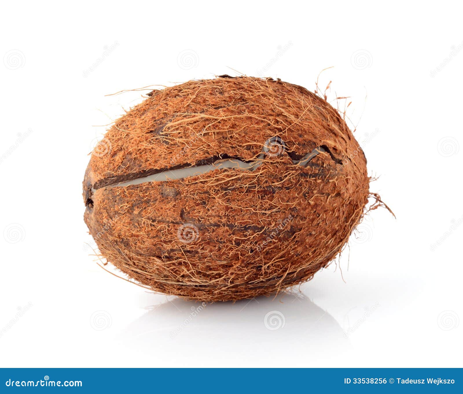 Cracked coconut stock photo. Image of coconut, closeup - 33538256