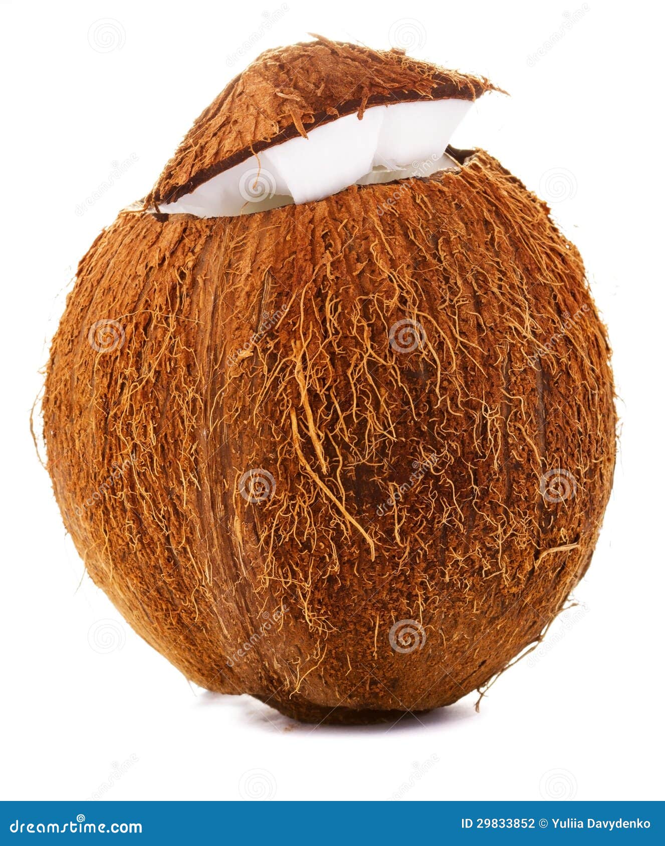 Cracked coconut stock photo. Image of coconut, shell - 29833852